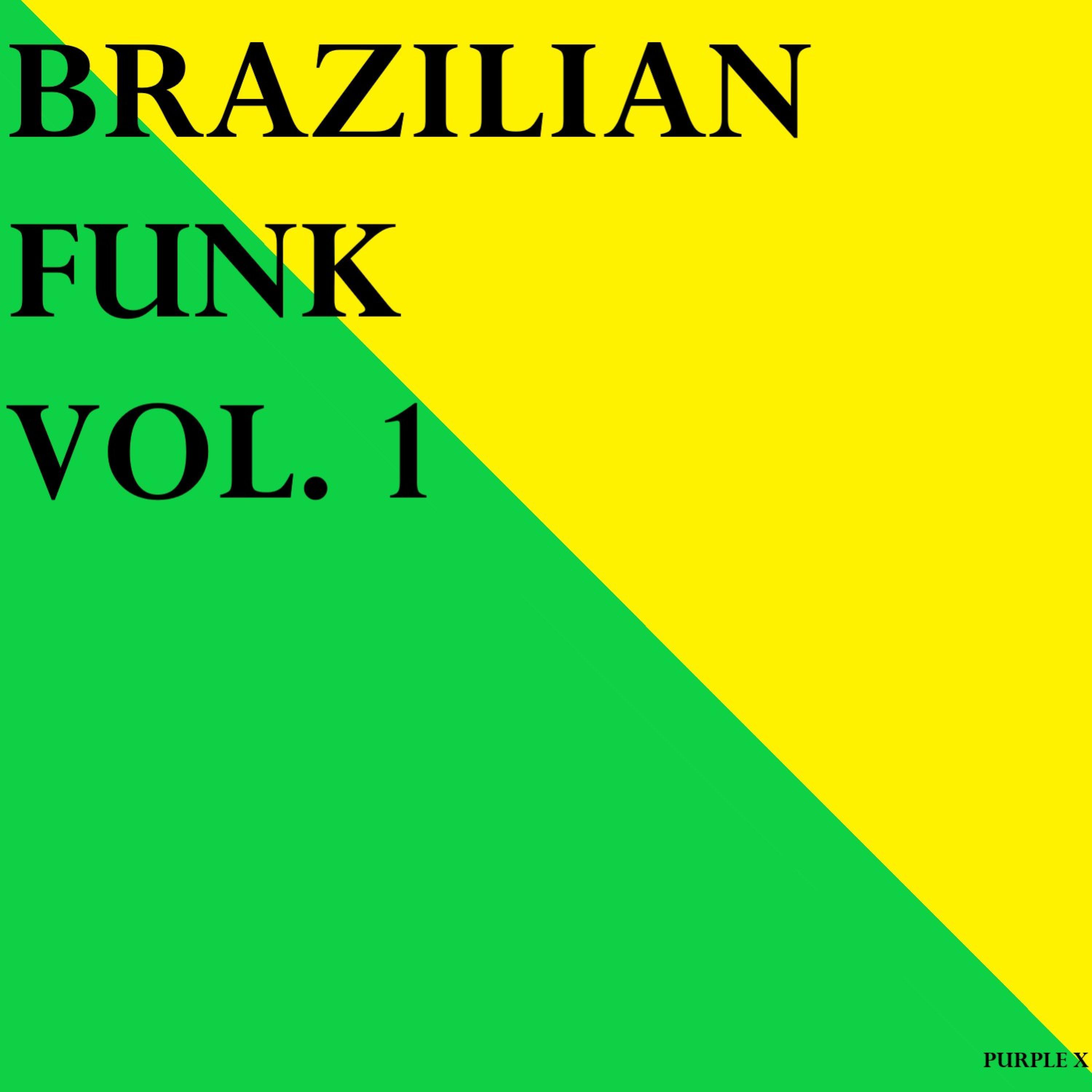 Brazilian Funk, Vol. 1 - Purple X - 专辑 - 网易云音乐