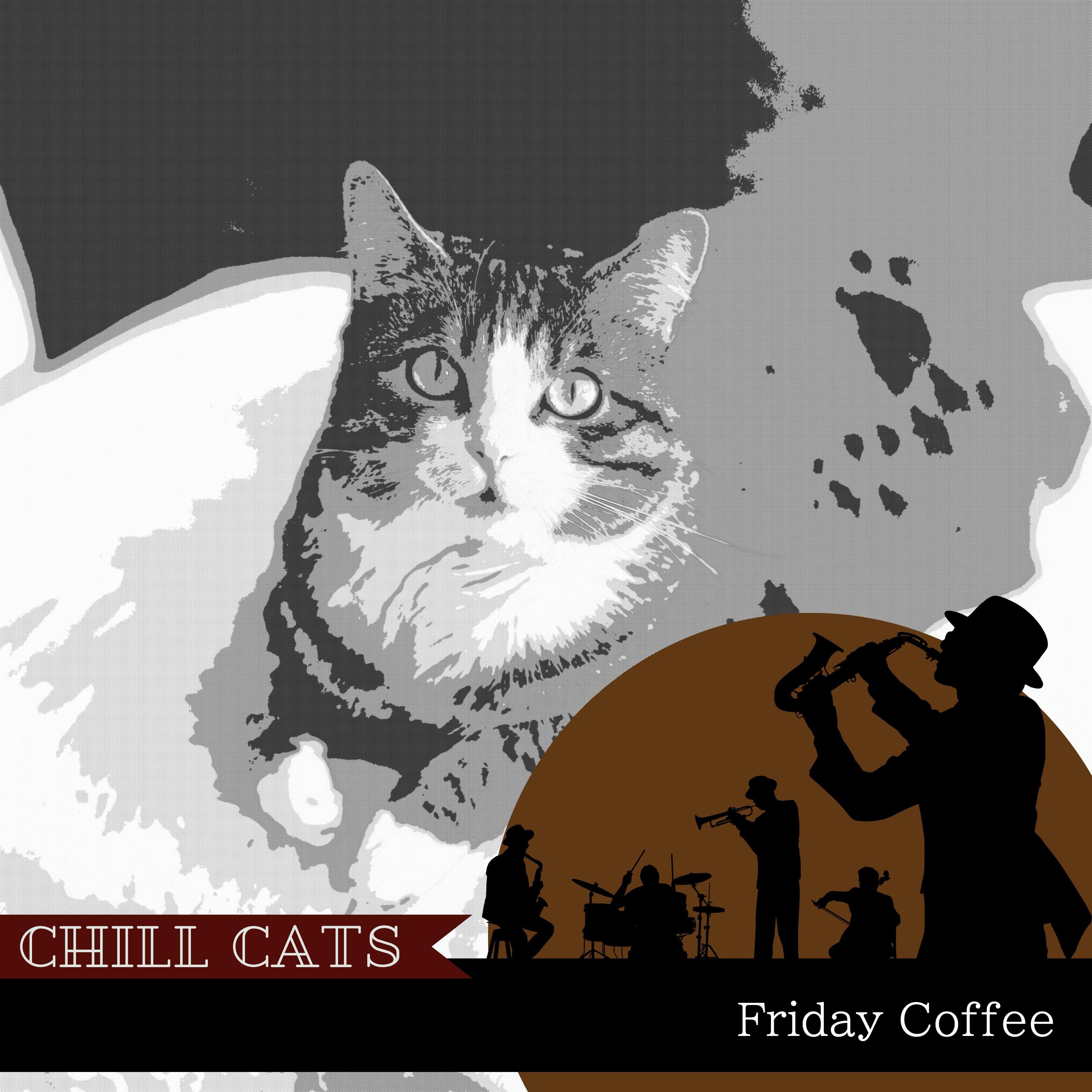 Timeless Morning Elegance - Chill Cats - 单曲 - 网易云音乐