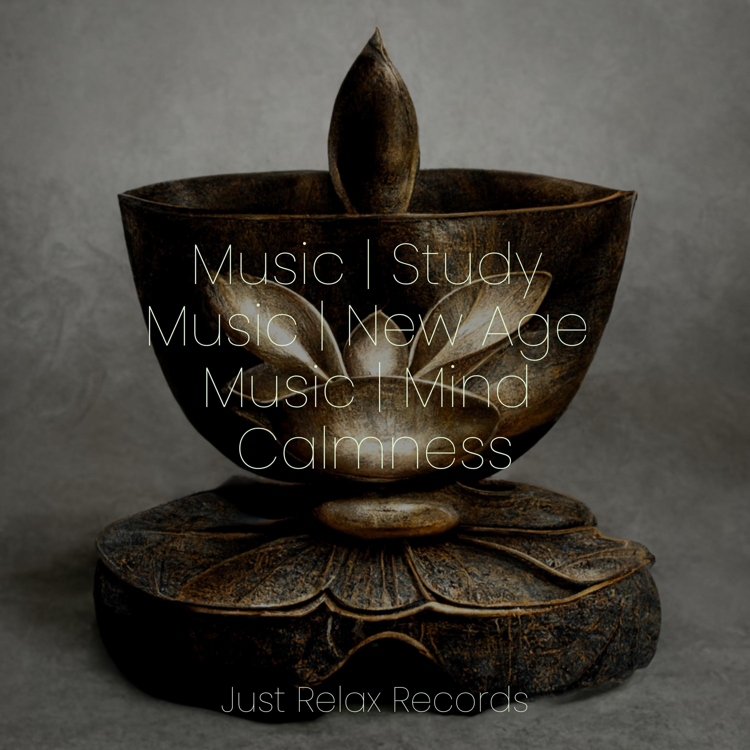 Music | Study Music | New Age Music | Mind Calmness - Smart Baby ...
