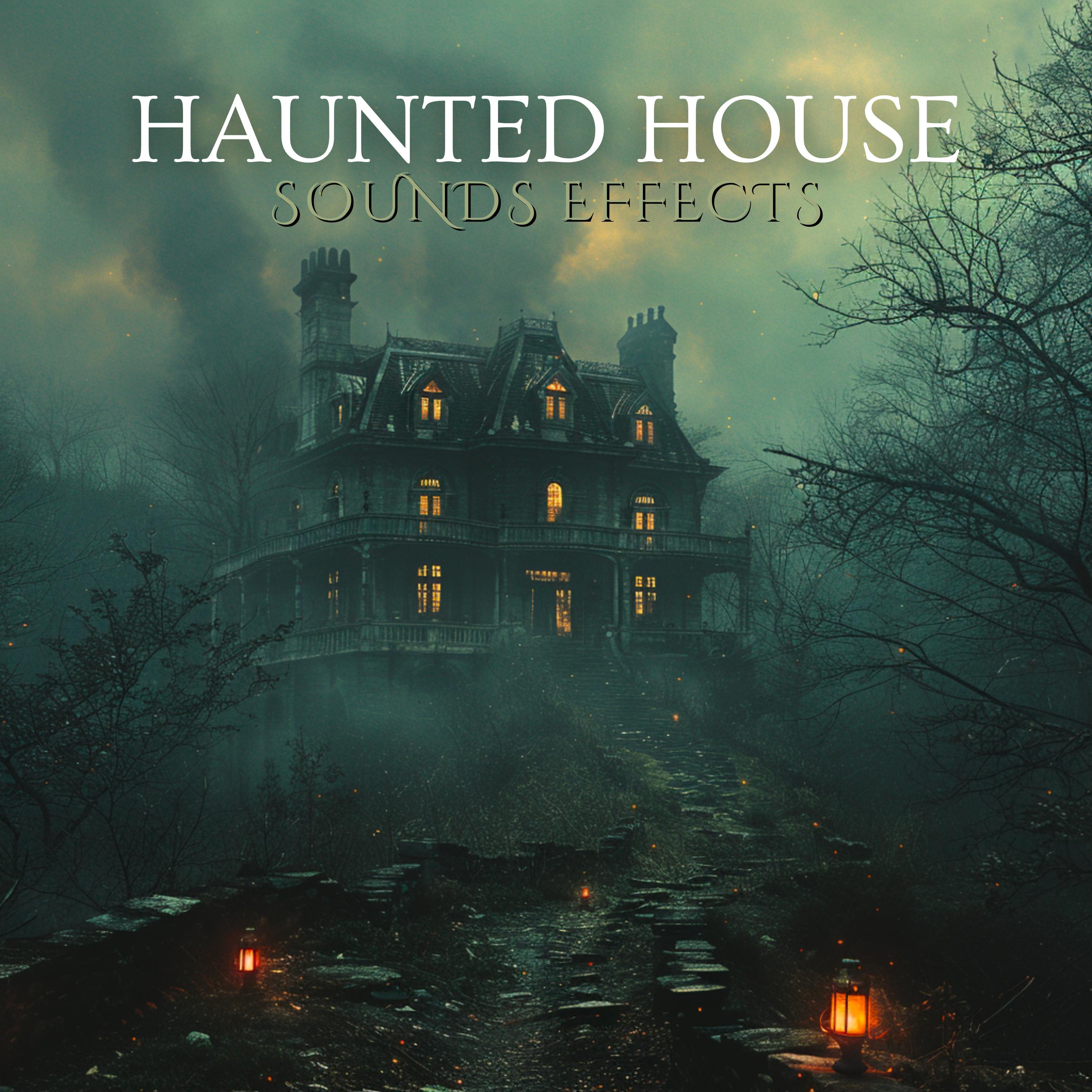 Ghosts - Halloween Sound Effects/Haunted House Sound Effects/Creepy ...
