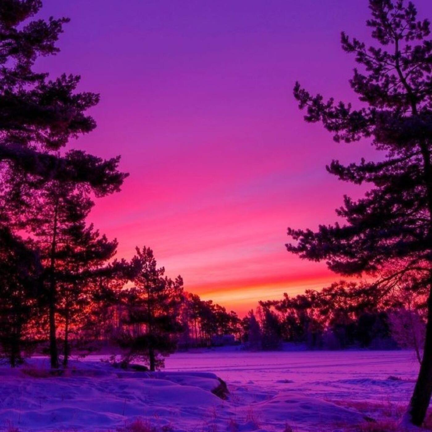 RUN CONFESS - HOPE DJ/Japx - 单曲 - 网易云音乐