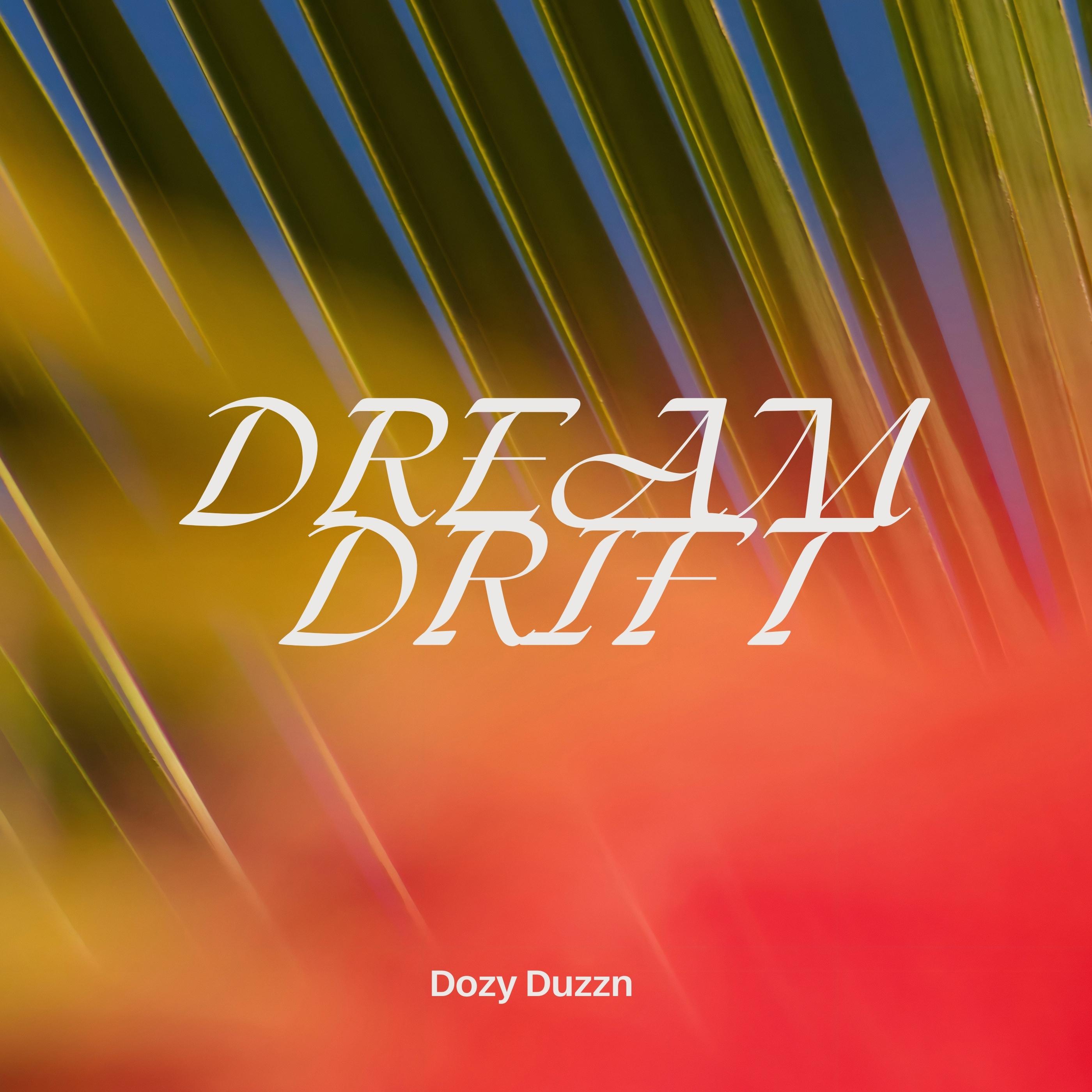 Dream Drift - Dozy Duzzn - 专辑 - 网易云音乐