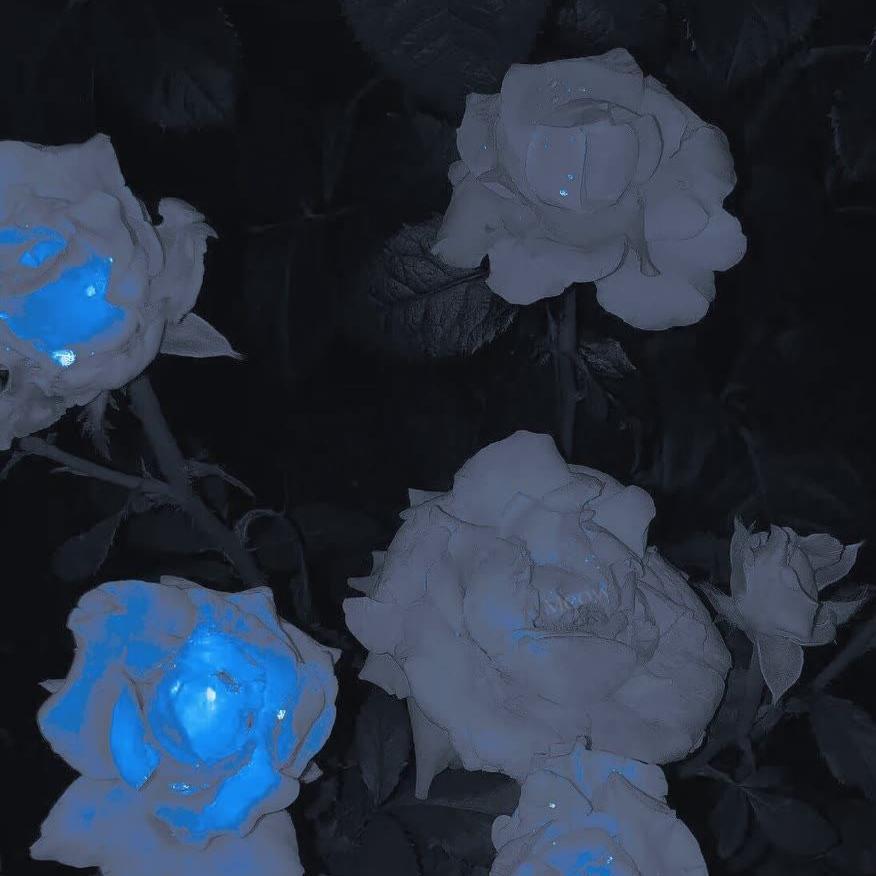 Cicici - CIEFAM - 单曲 - 网易云音乐