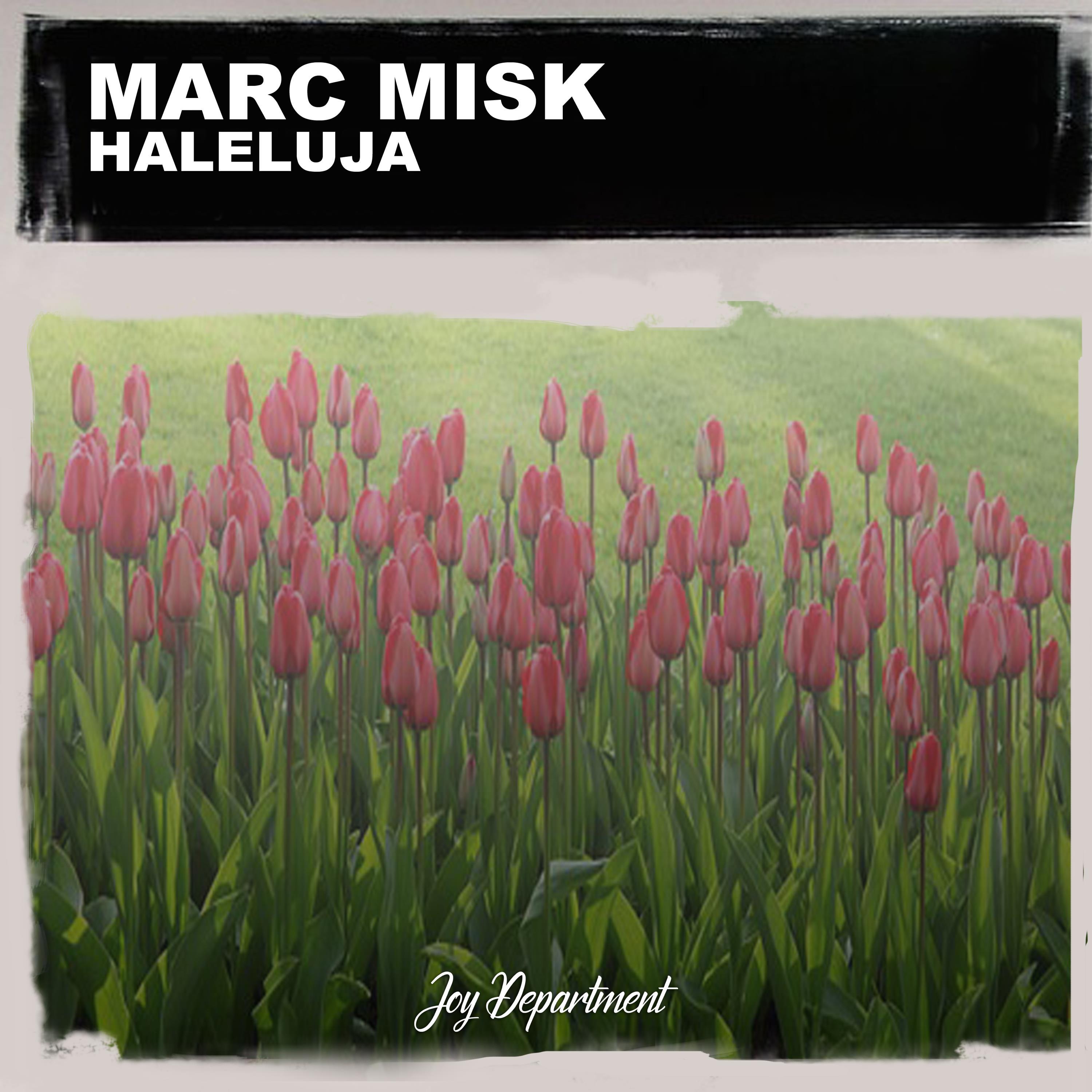 Haleluja (Nu Ground Foundation Classic Mix) - Marc Misk - 单曲 - 网易云音乐