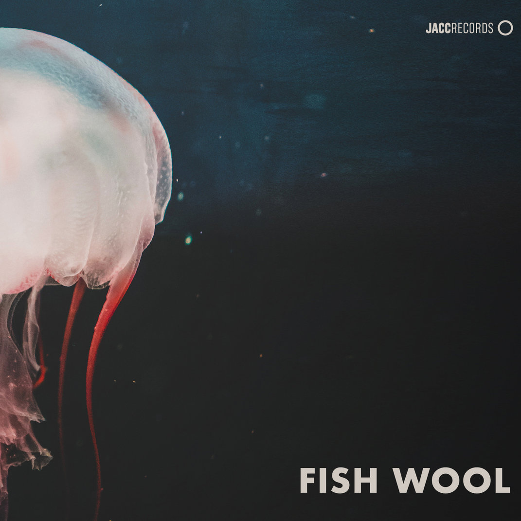 Fish Wool – Fish Wool - 拓扑拾遗 - 电台节目 - 网易云音乐