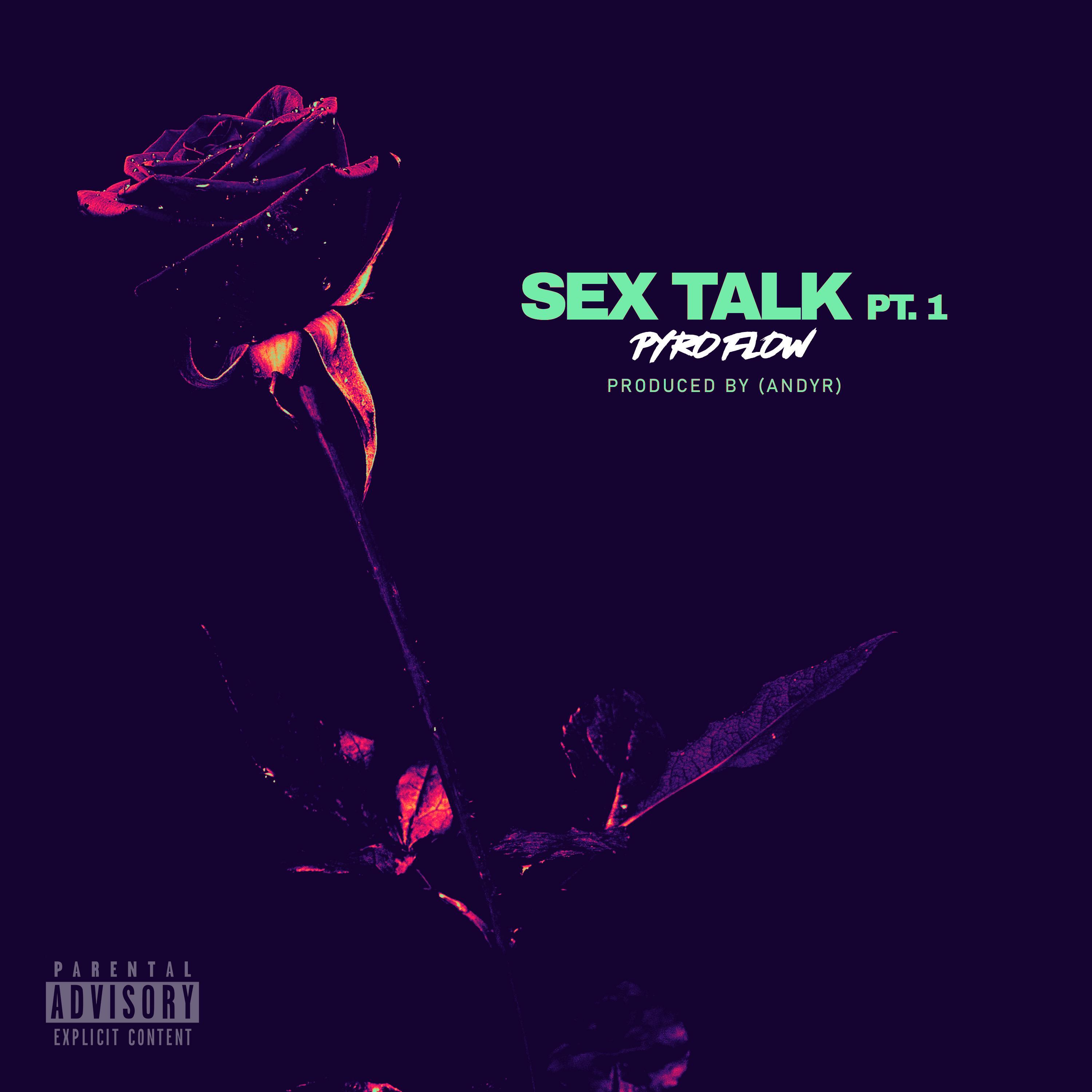 Sex Talk, Pt. 1 - Pyro Flow - 专辑 - 网易云音乐