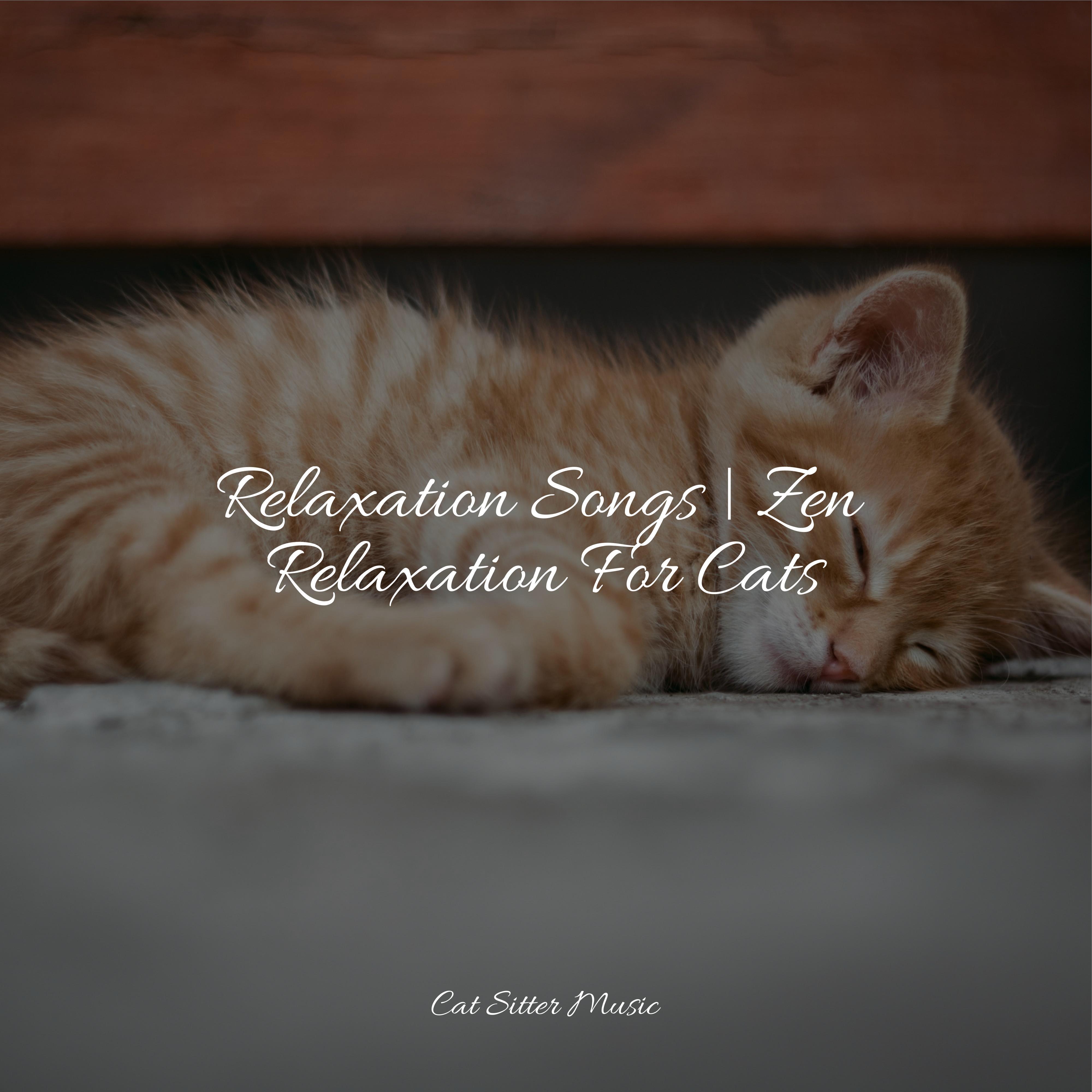 Yoga Relaxation - Jazz Music for Cats/Music for Cats Project/Music for ...