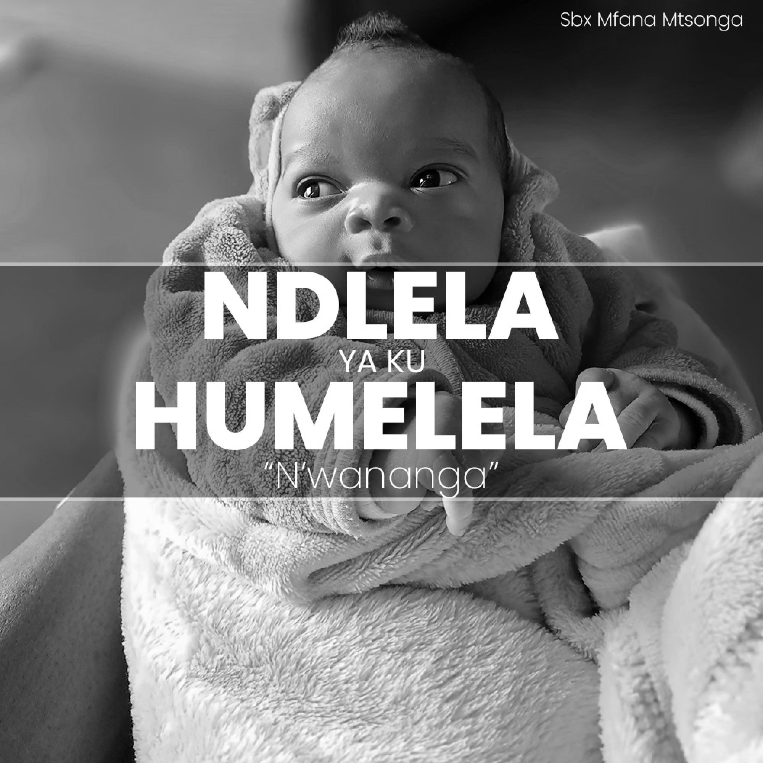 Mihloti (feat. Adn The Legend & Mpower) - Sbx Mfana Mtsonga/Adn the ...