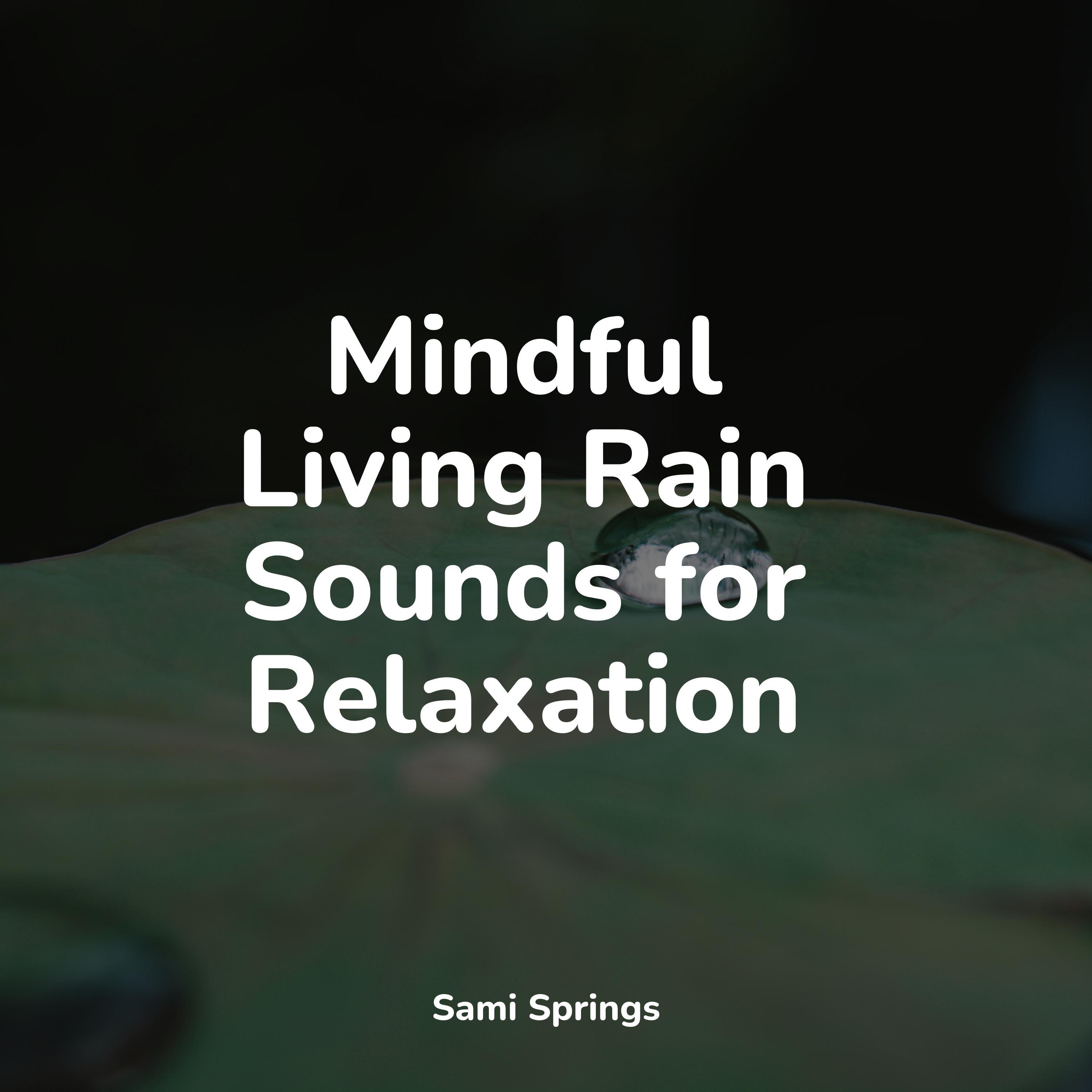 Mindful Living Rain Sounds for Relaxation - Sleep Lullabies for Newborn ...