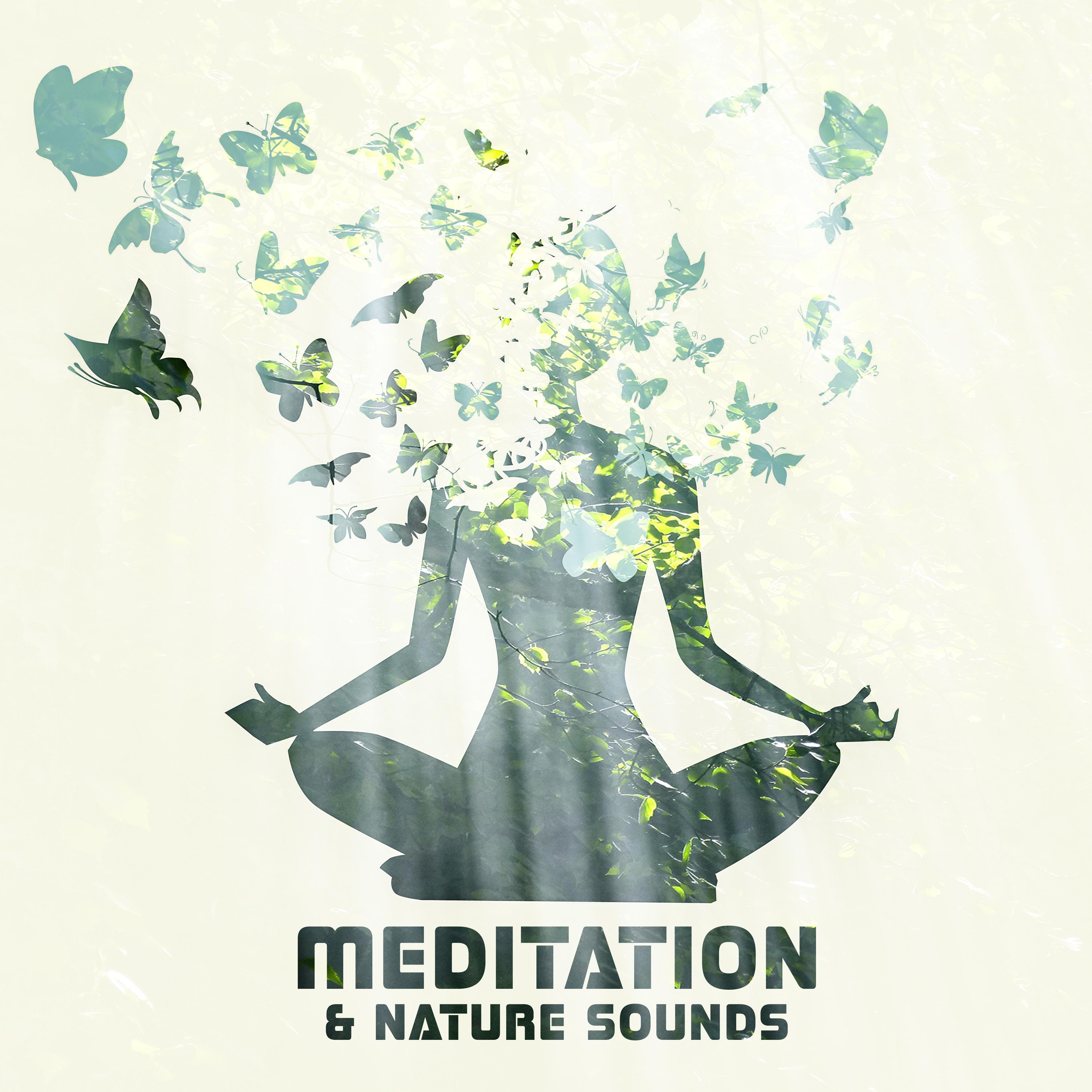 Long Time Relaxation - Nature Sound Collection - 单曲 - 网易云音乐