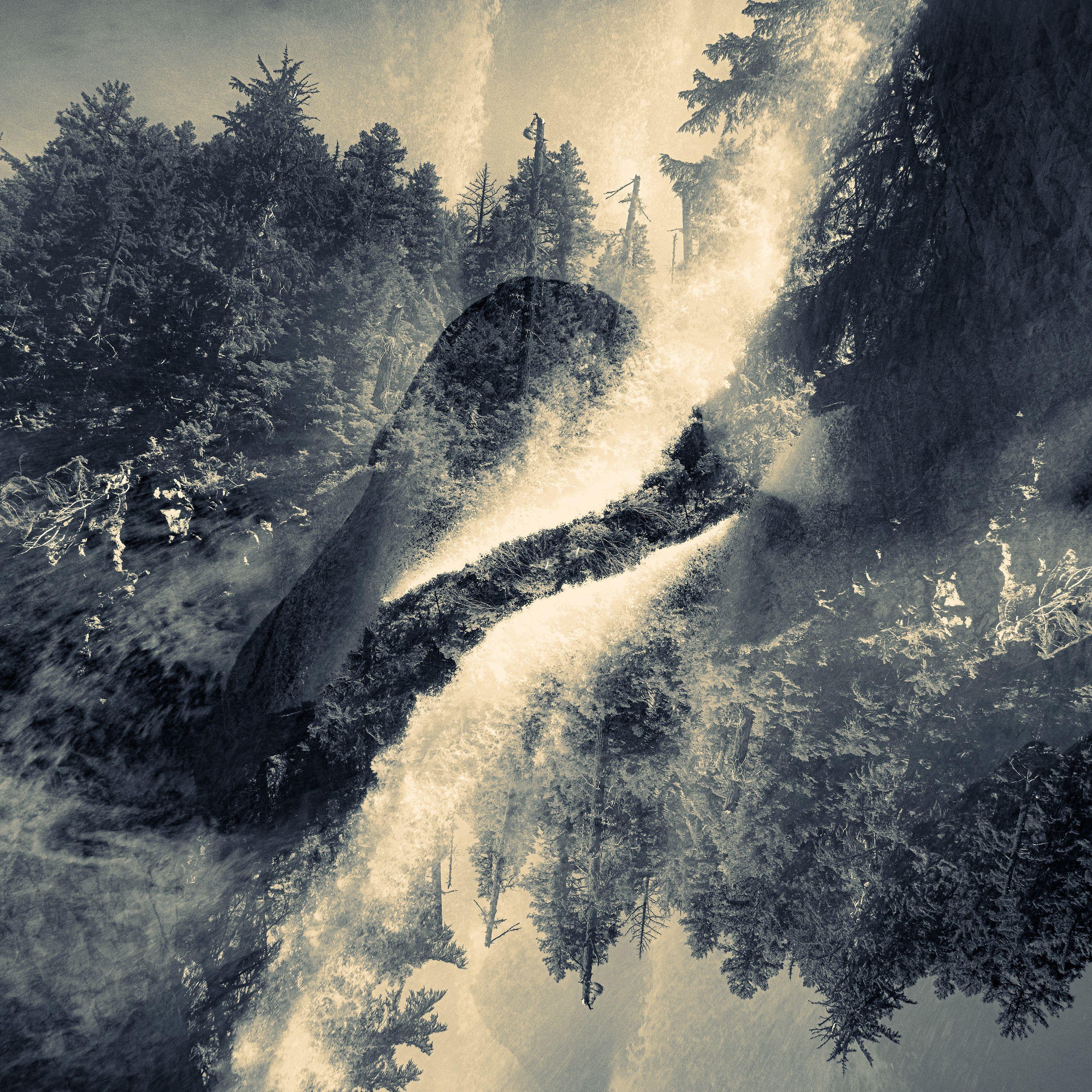 The Holy Forms - Matthew Liam Nicholson/Nicholas Paul Milosevich - 单曲 ...