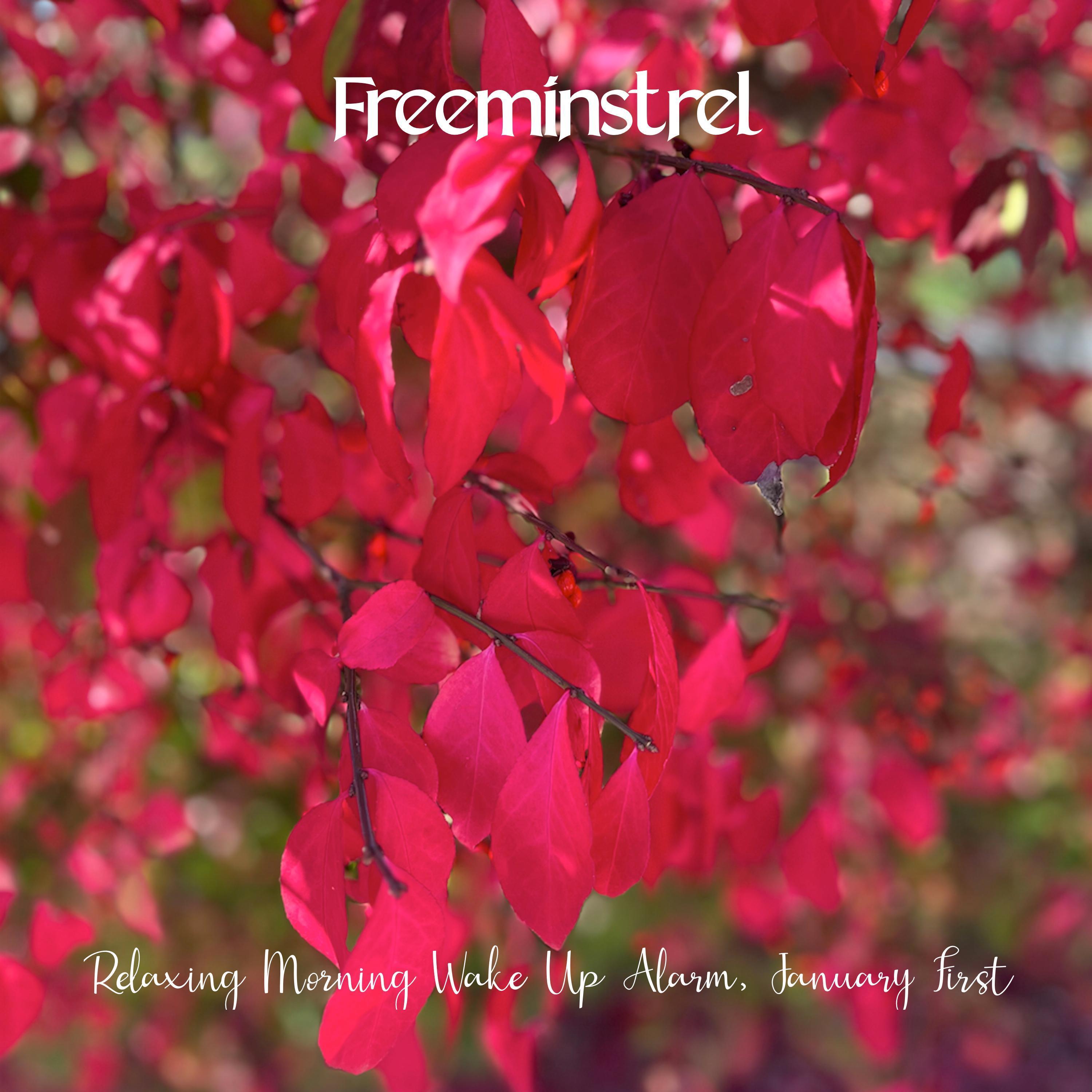 Relaxing Morning Wake Up Alarm, January First (Instrumental Acoustic ...