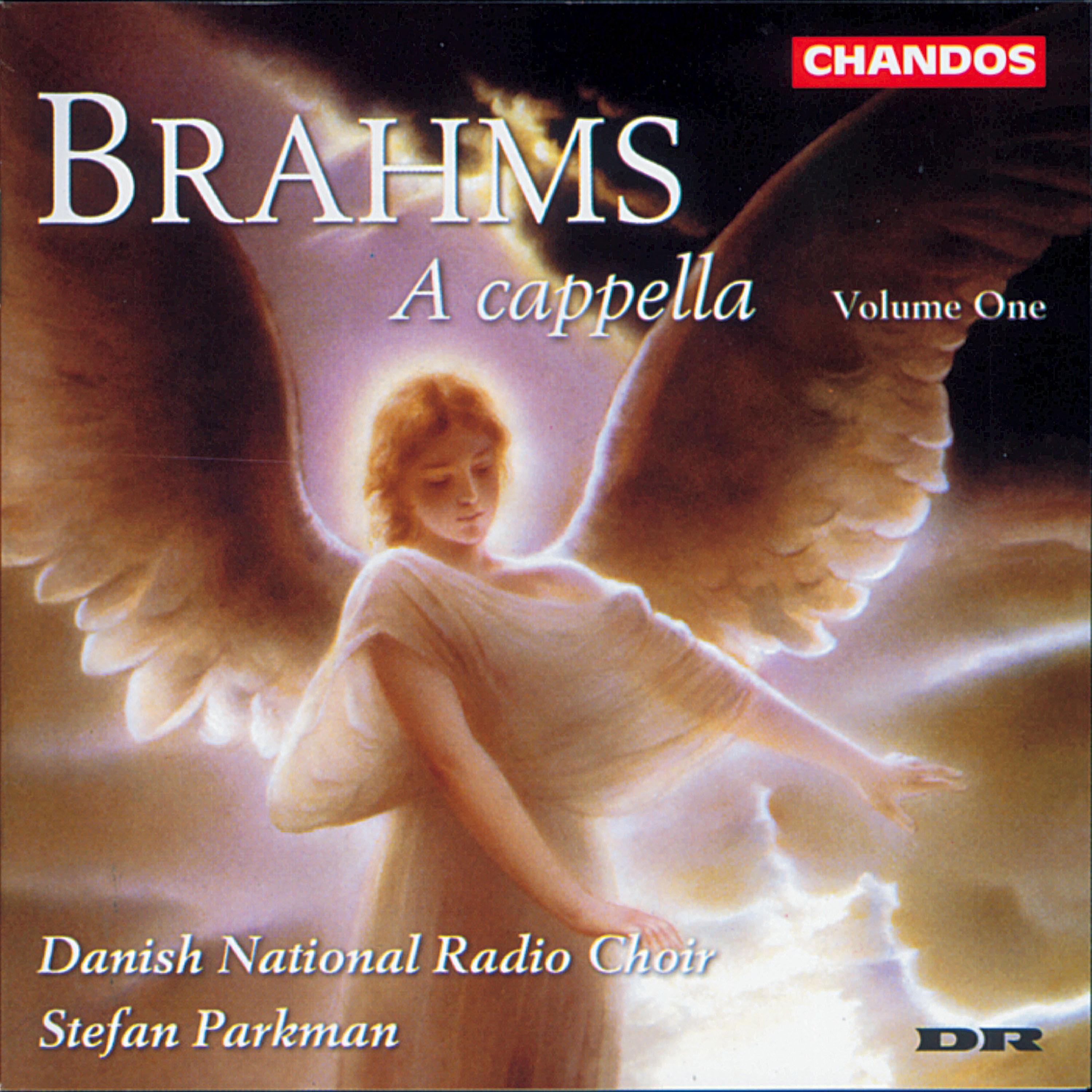 Three Motets, Op. 110: I. Ich aber bin elend - Stefan Parkman/Danish ...