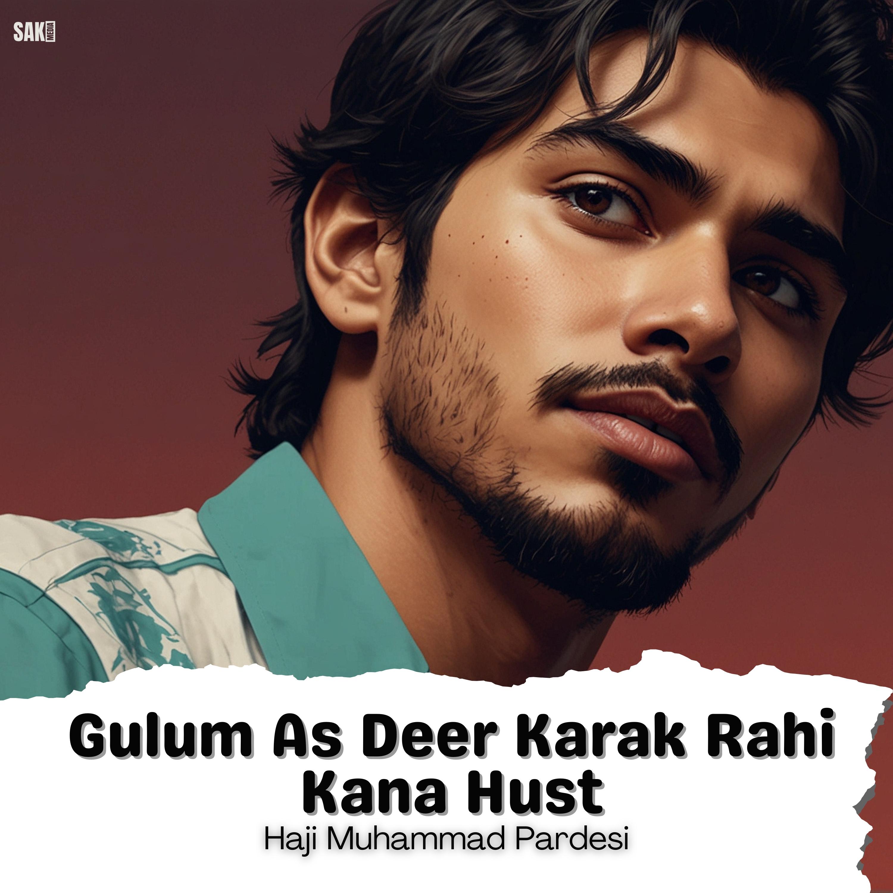 Gulum As Deer Karak Rahi Kana Hust - Haji Muhammad Pardesi - 专辑 - 网易云音乐