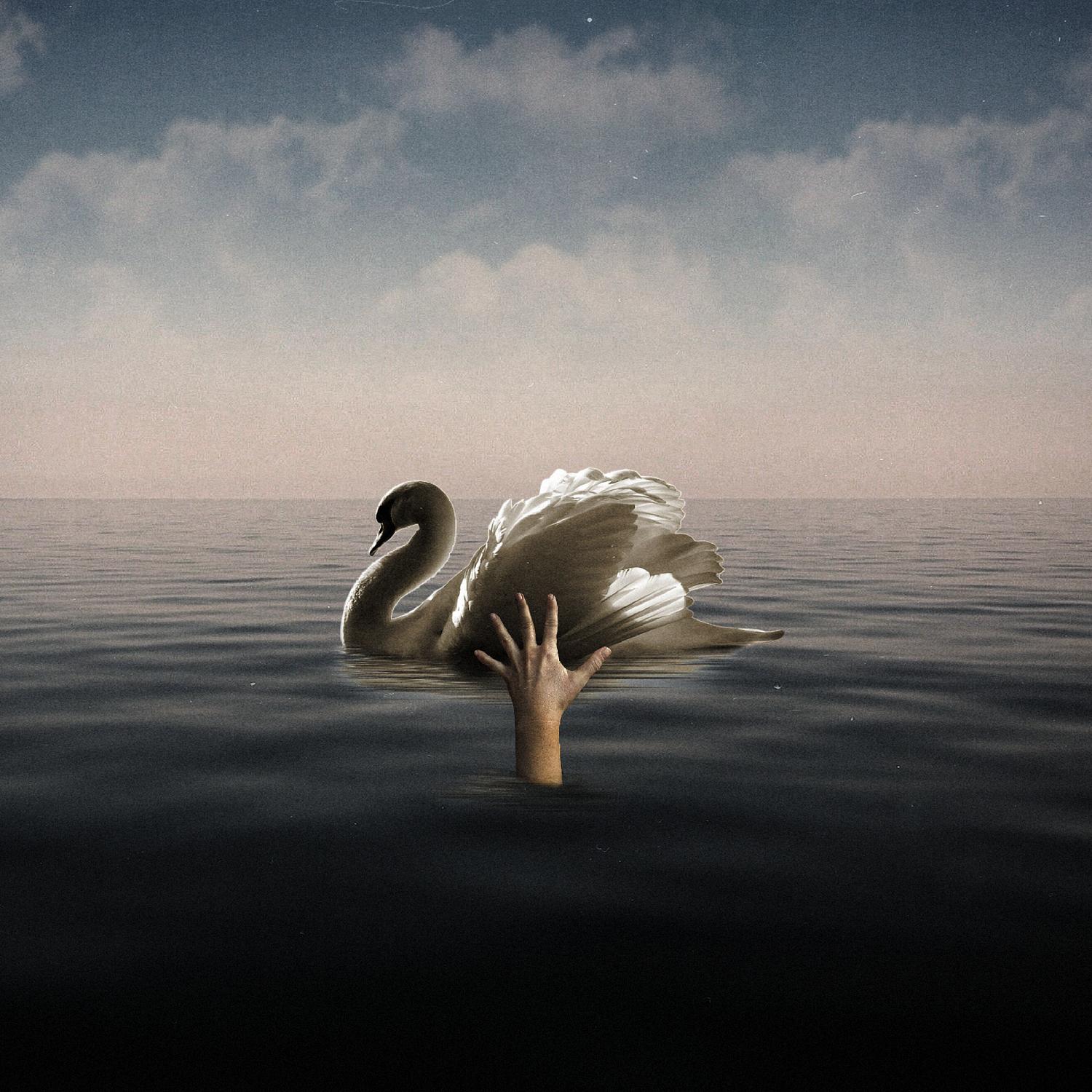 Scema - Bonnie P. - 专辑 - 网易云音乐