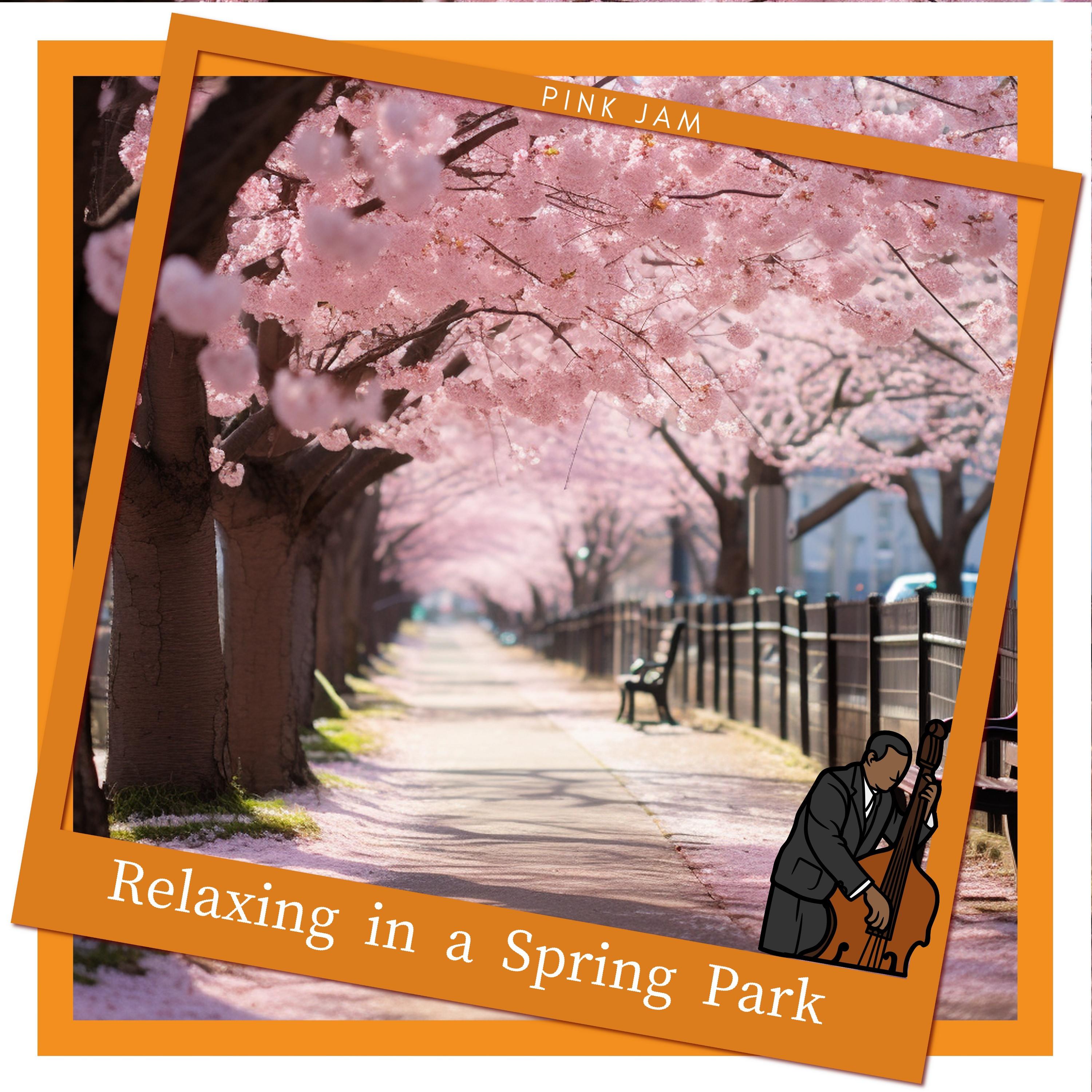 Relaxing in a Spring Park - Pink Jam - 专辑 - 网易云音乐