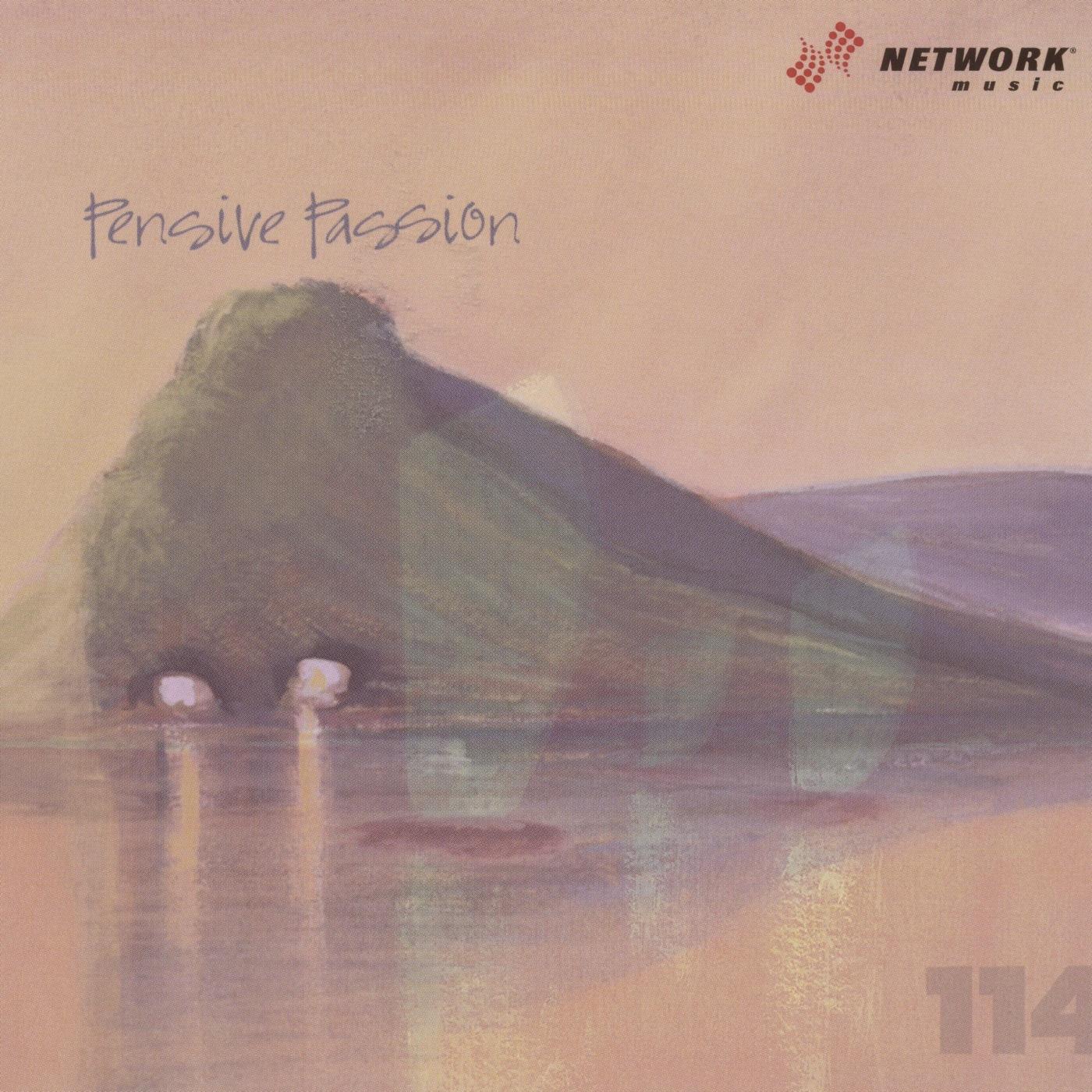 Meadowlark - Network Music Ensemble - 单曲 - 网易云音乐