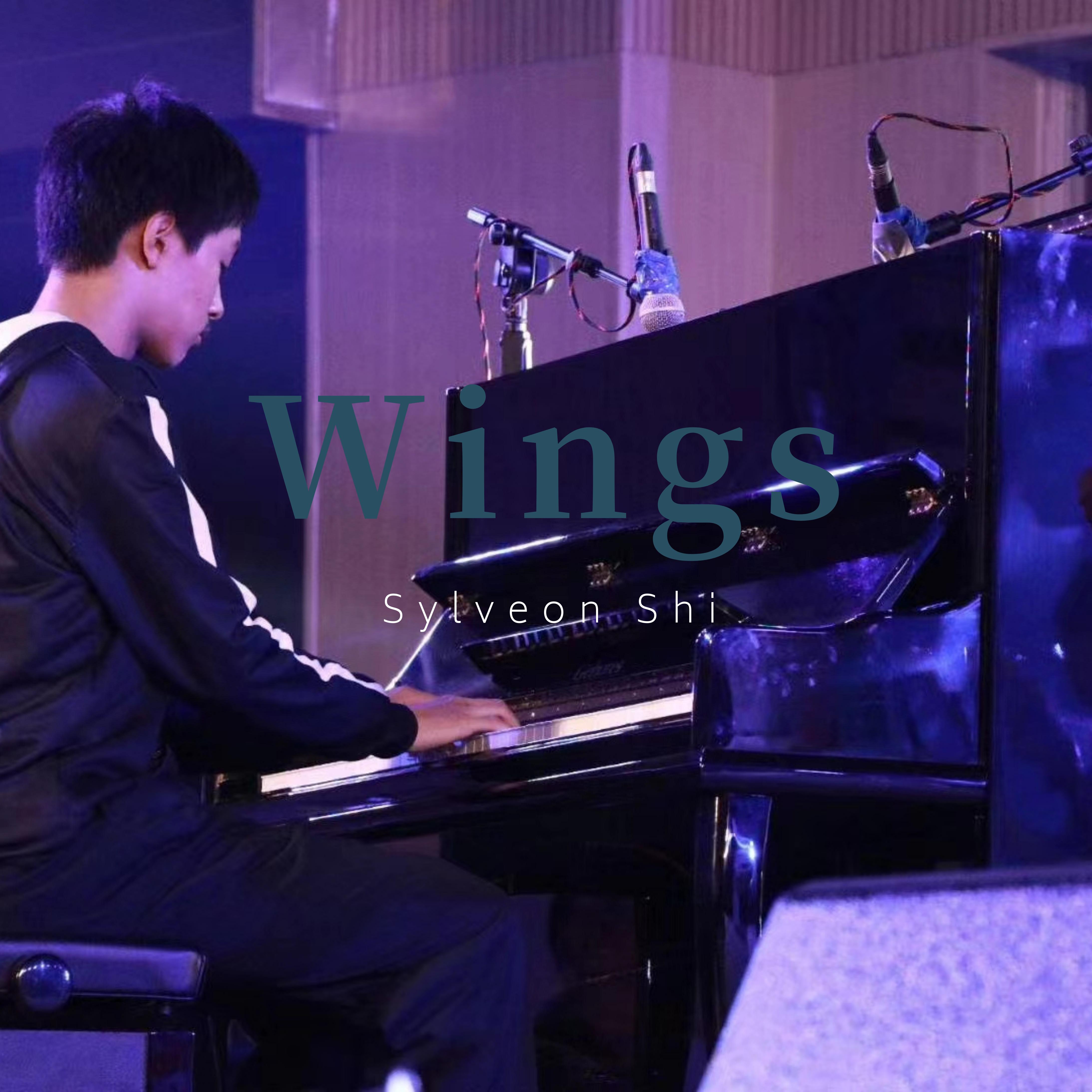 Wings - Sylveon Shi - 单曲 - 网易云音乐