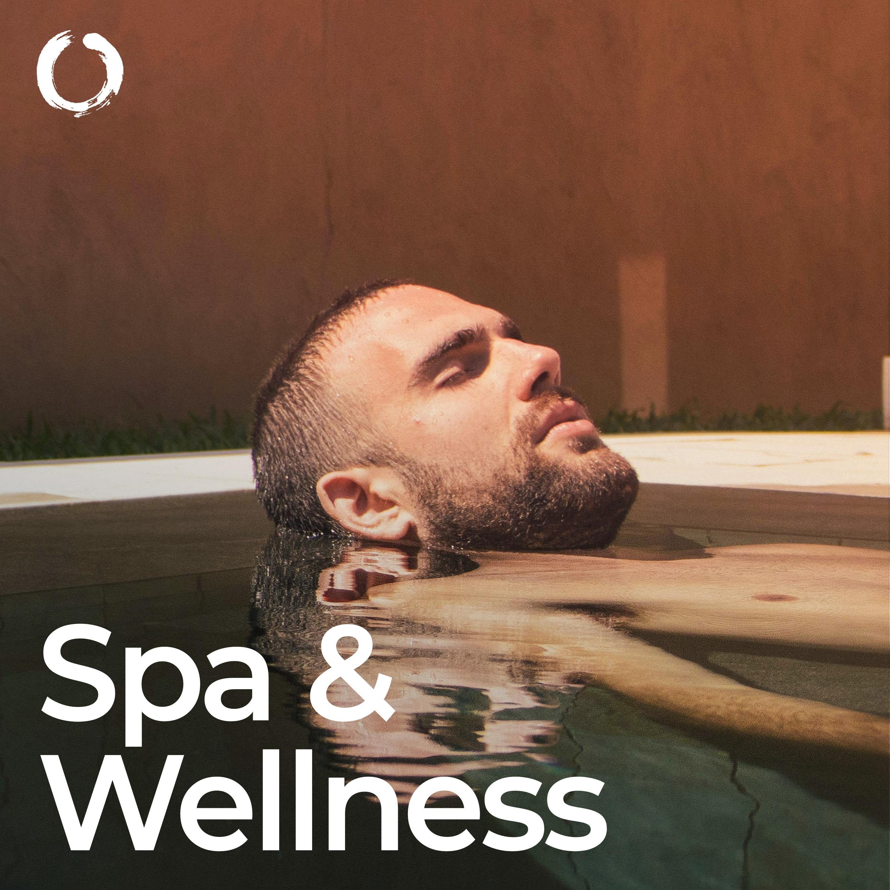 Spa & Wellness Music - Sleep Sound Bath - 专辑 - 网易云音乐