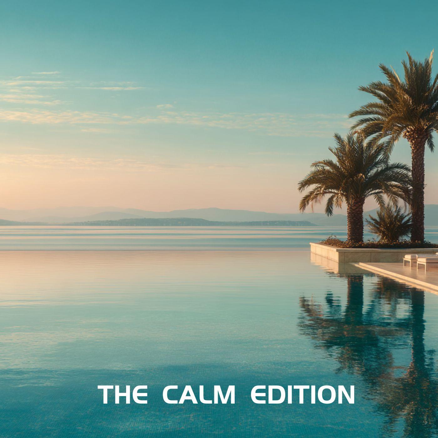 The Calm Edition - Shawn & Brick - 专辑 - 网易云音乐