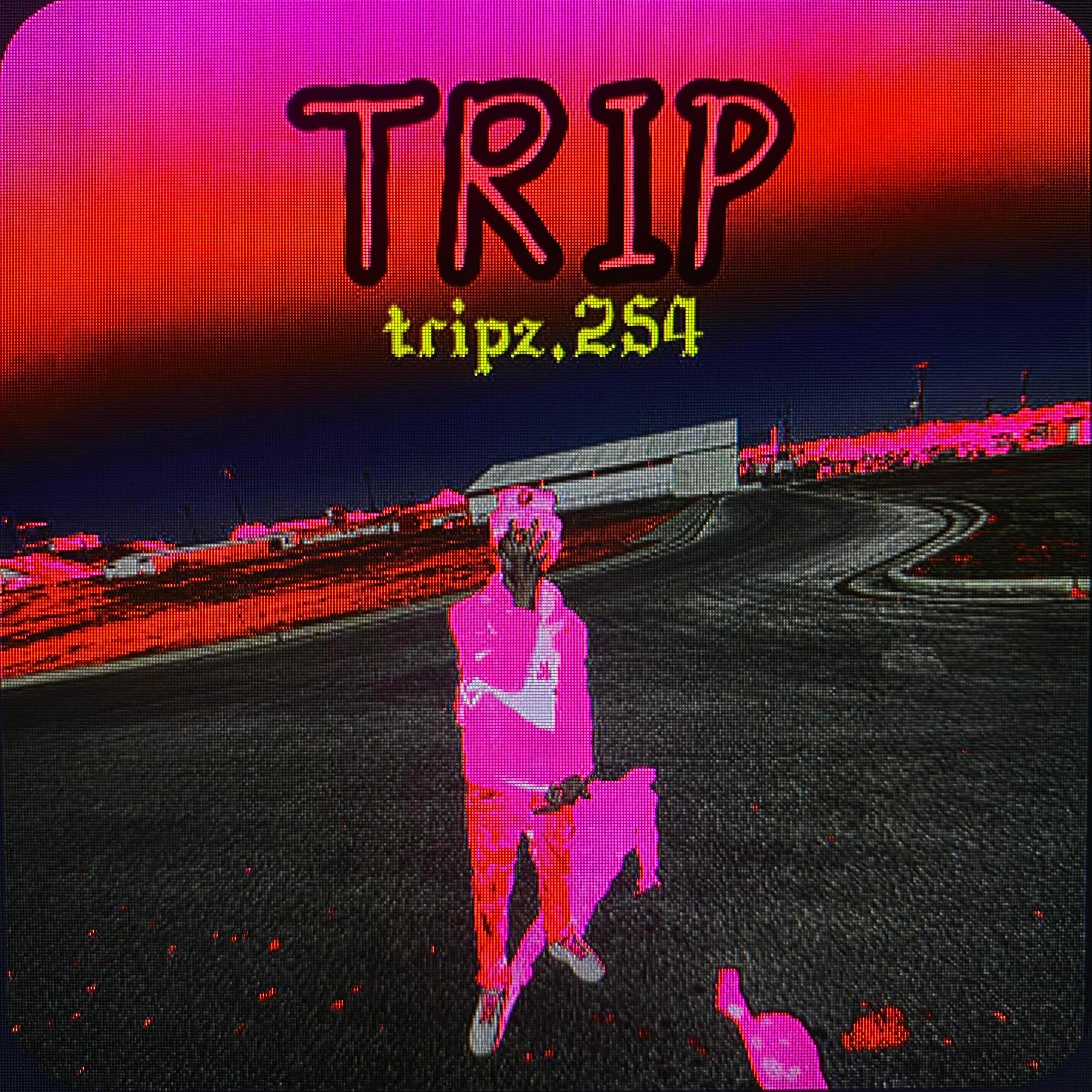 Whatchu Doin - Tripz - 单曲 - 网易云音乐