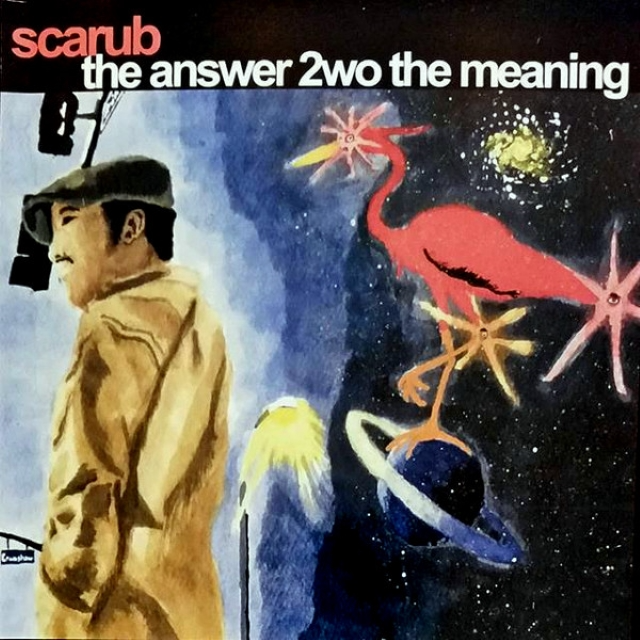 The Meaning - Scarub - 单曲 - 网易云音乐