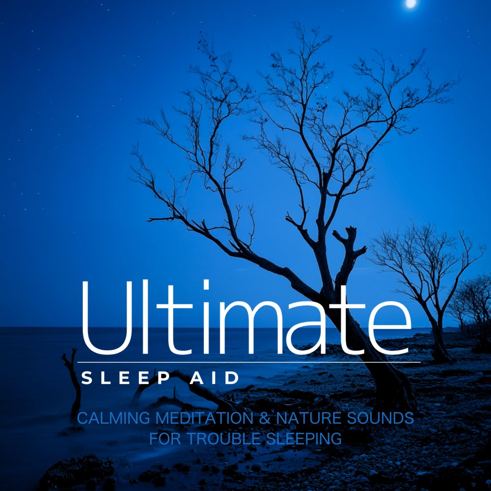 smooth sleep music (癒しの波音) - SLEEPY NUTS - 单曲 - 网易云音乐