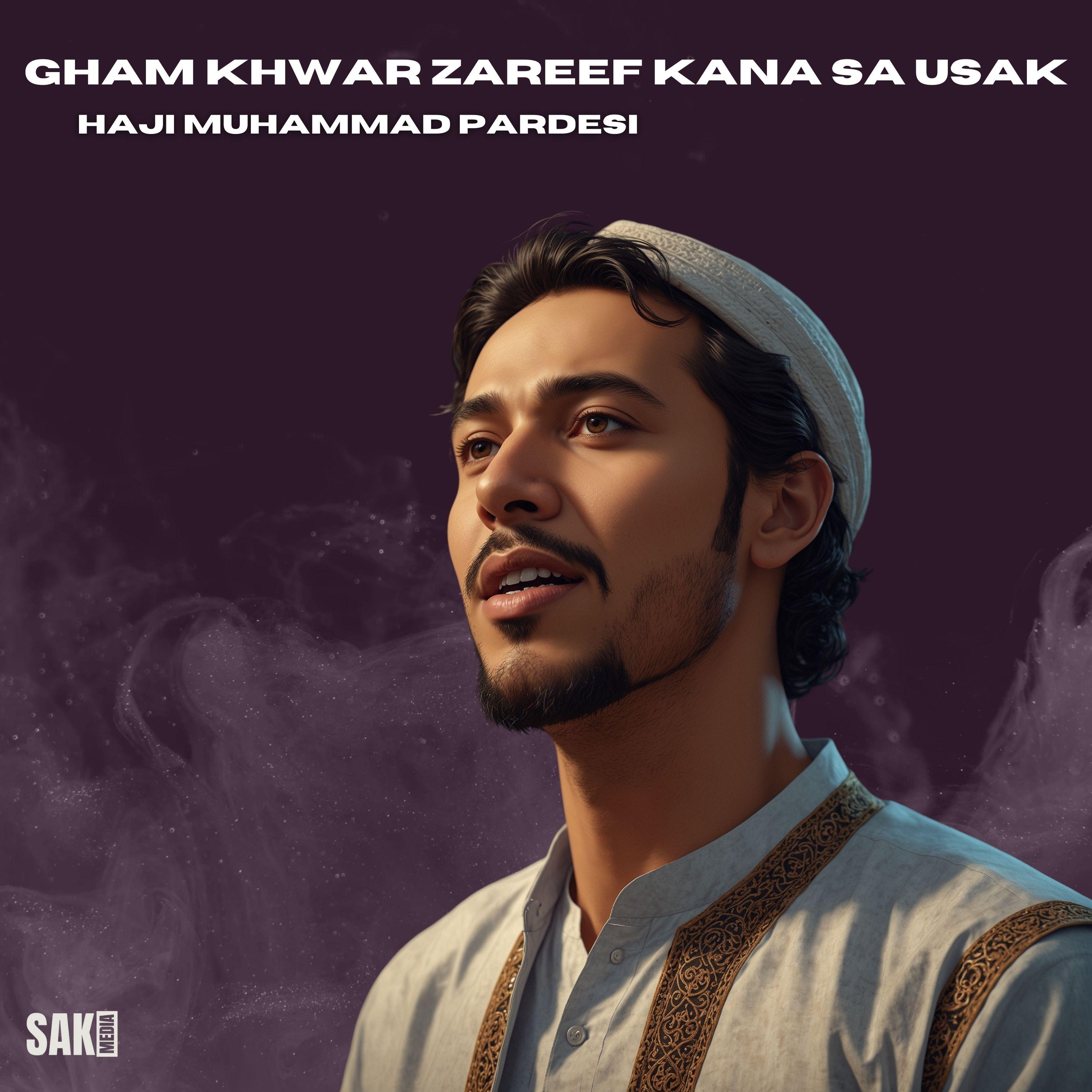 Gashutun Pul Jan Leware Roche Sara - Haji Muhammad Pardesi - 单曲 - 网易云音乐