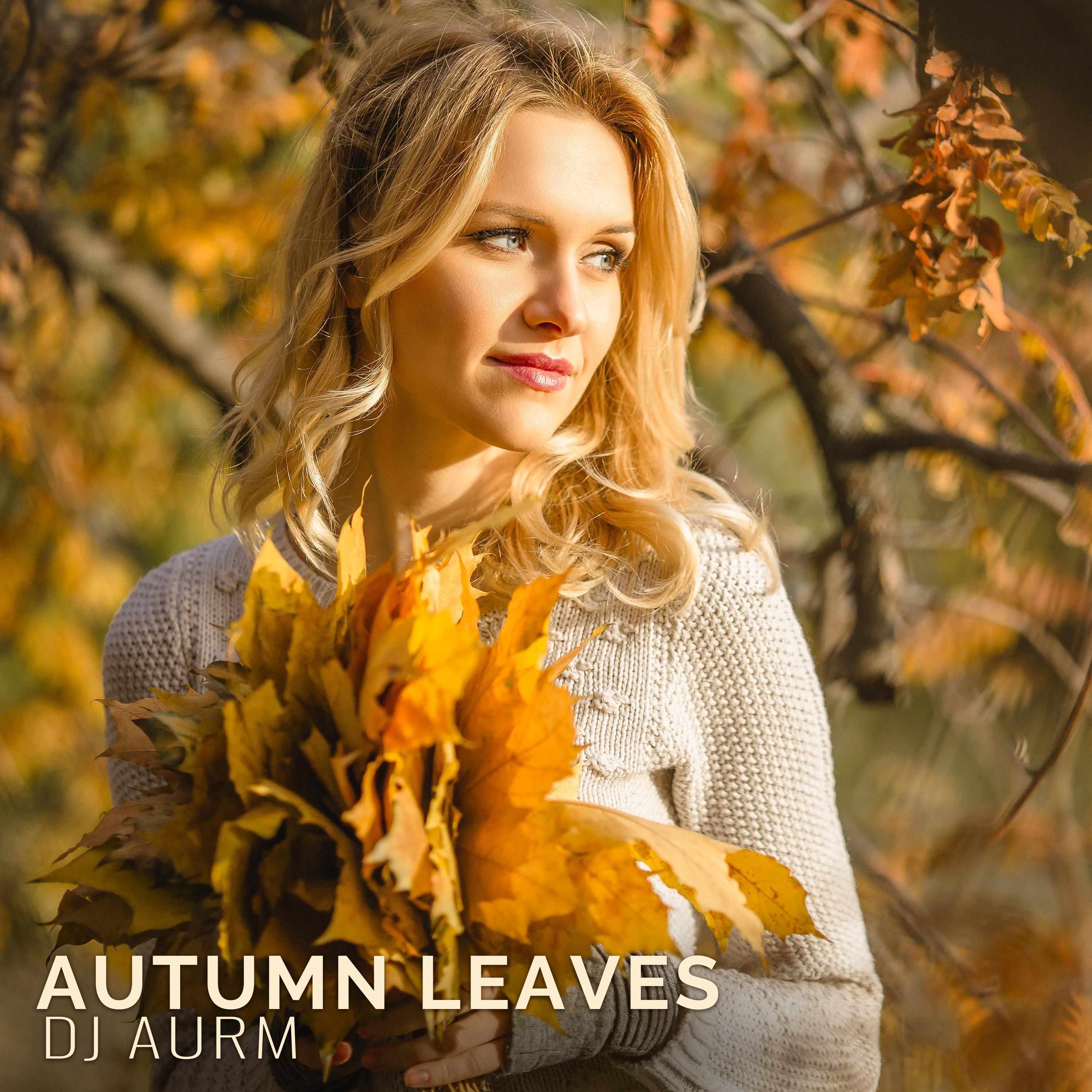 Autumn Leaves - DJ AURM - 专辑 - 网易云音乐