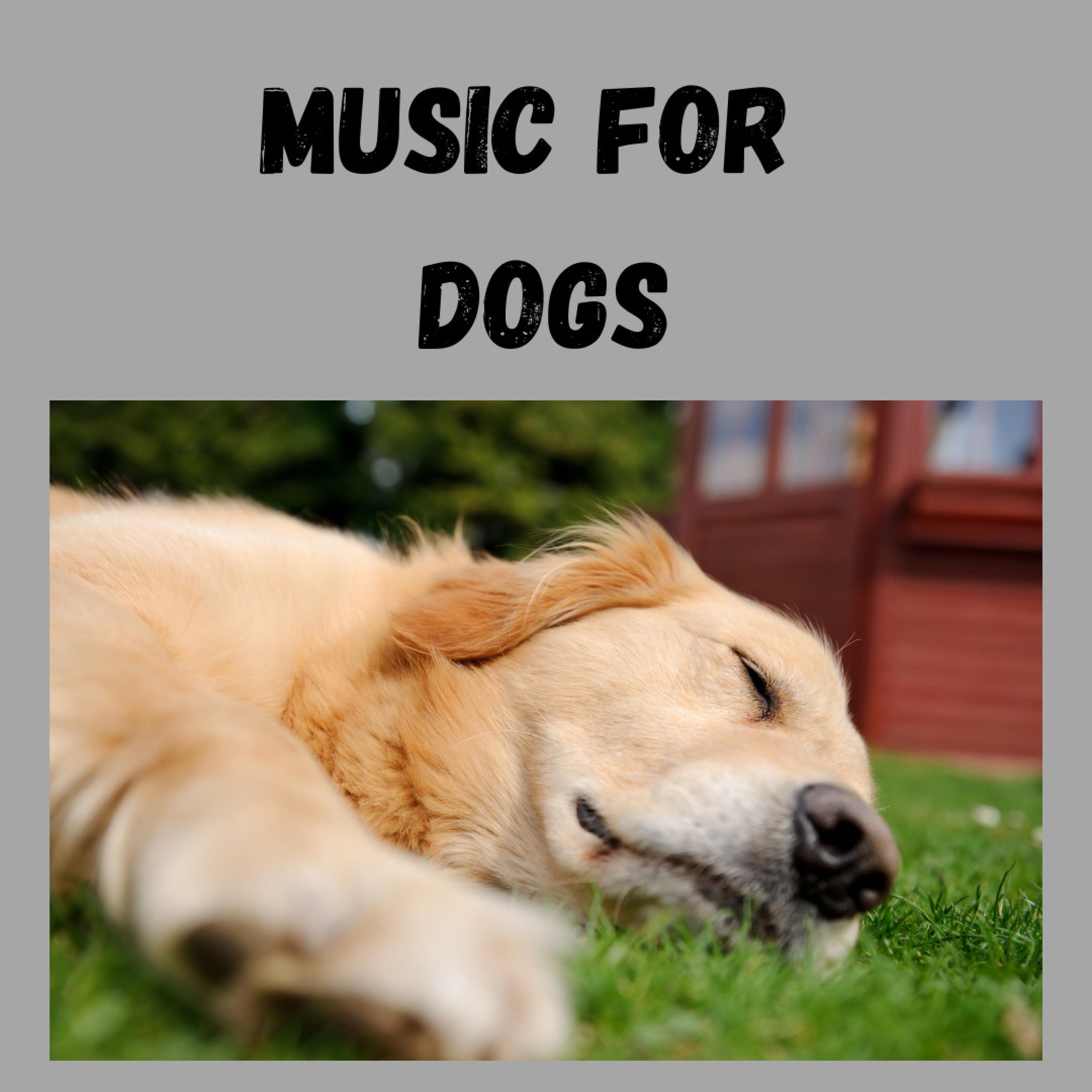 Puppies Unwind - Music For Dogs/Music For Dogs Peace/Relaxing Puppy ...