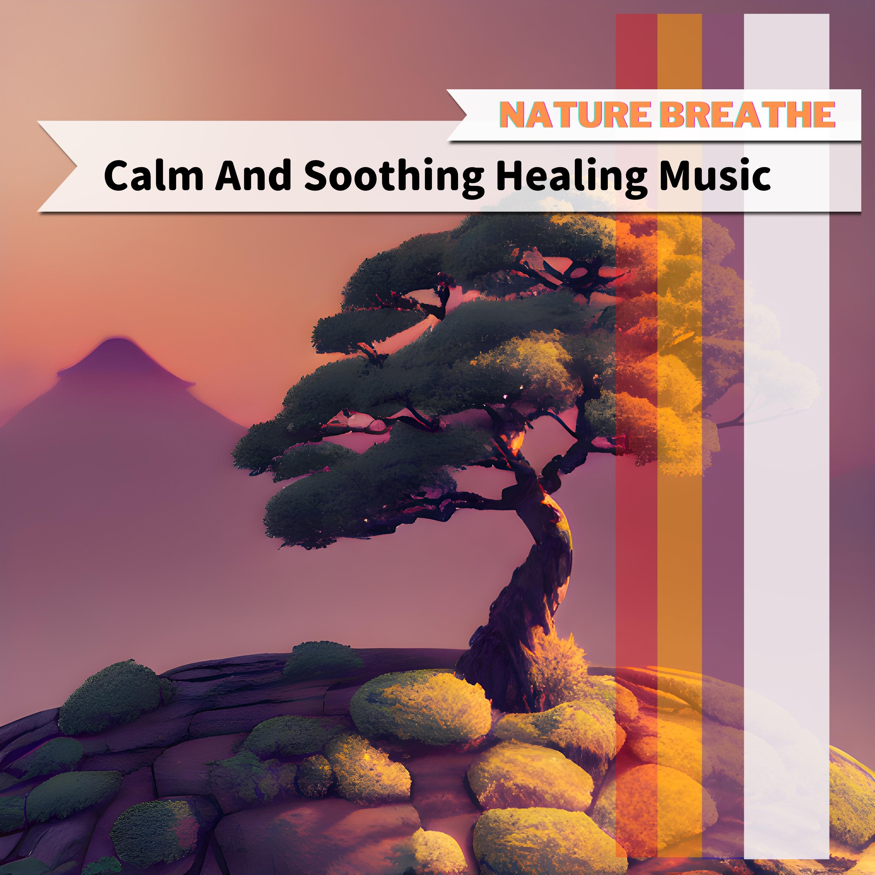Calm And Soothing Healing Music - Nature Breathe - 专辑 - 网易云音乐