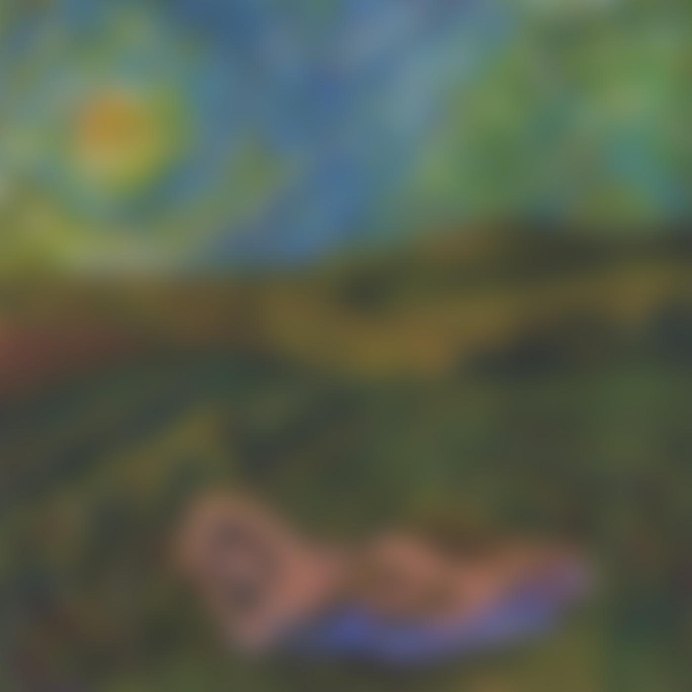 Daylight in the Swamp - Randy Bruce - 单曲 - 网易云音乐