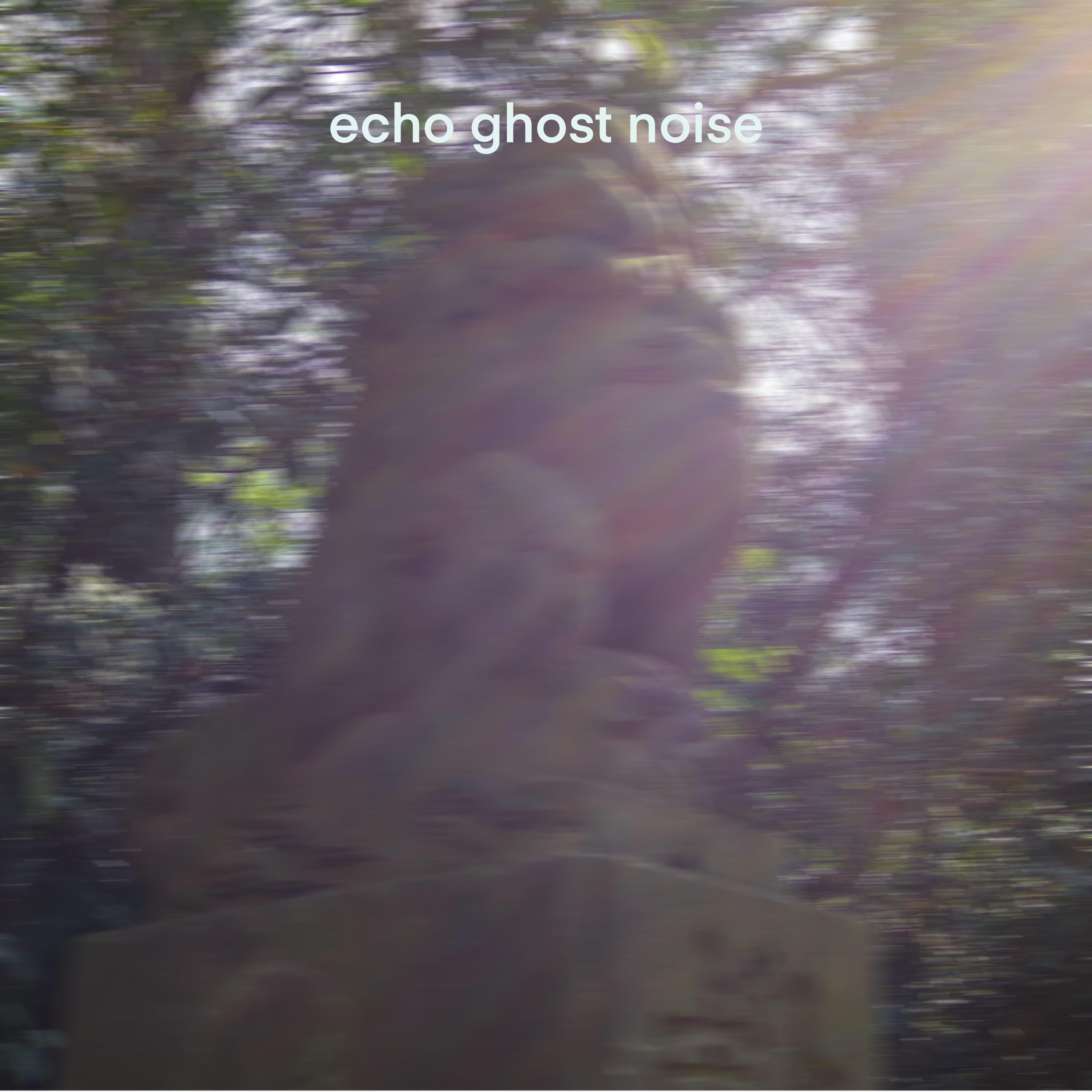 20240116 - echo ghost noise - 单曲 - 网易云音乐