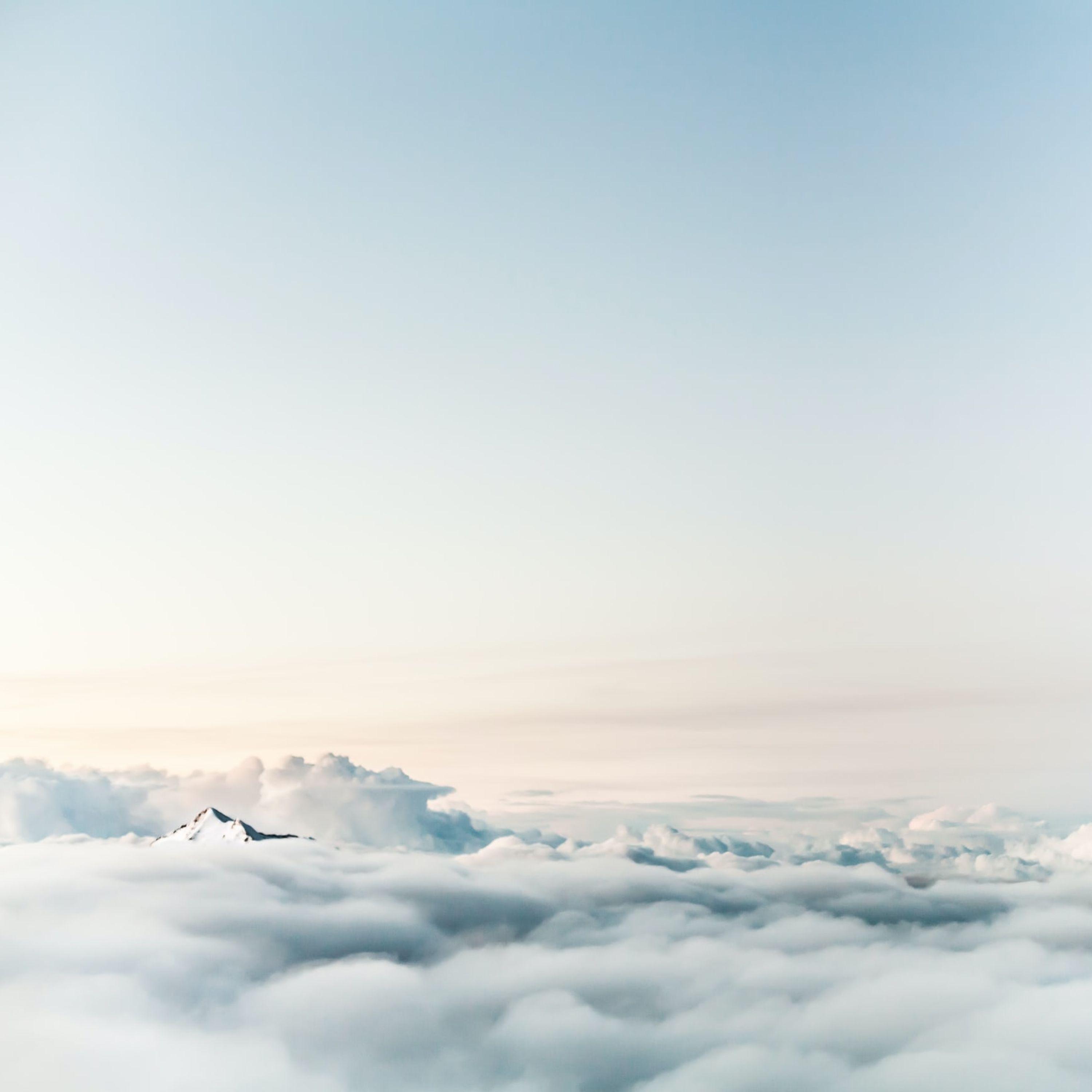 Life Blossoms - Yoga Tribe/Spa Music Paradise/White Noise Meditation ...