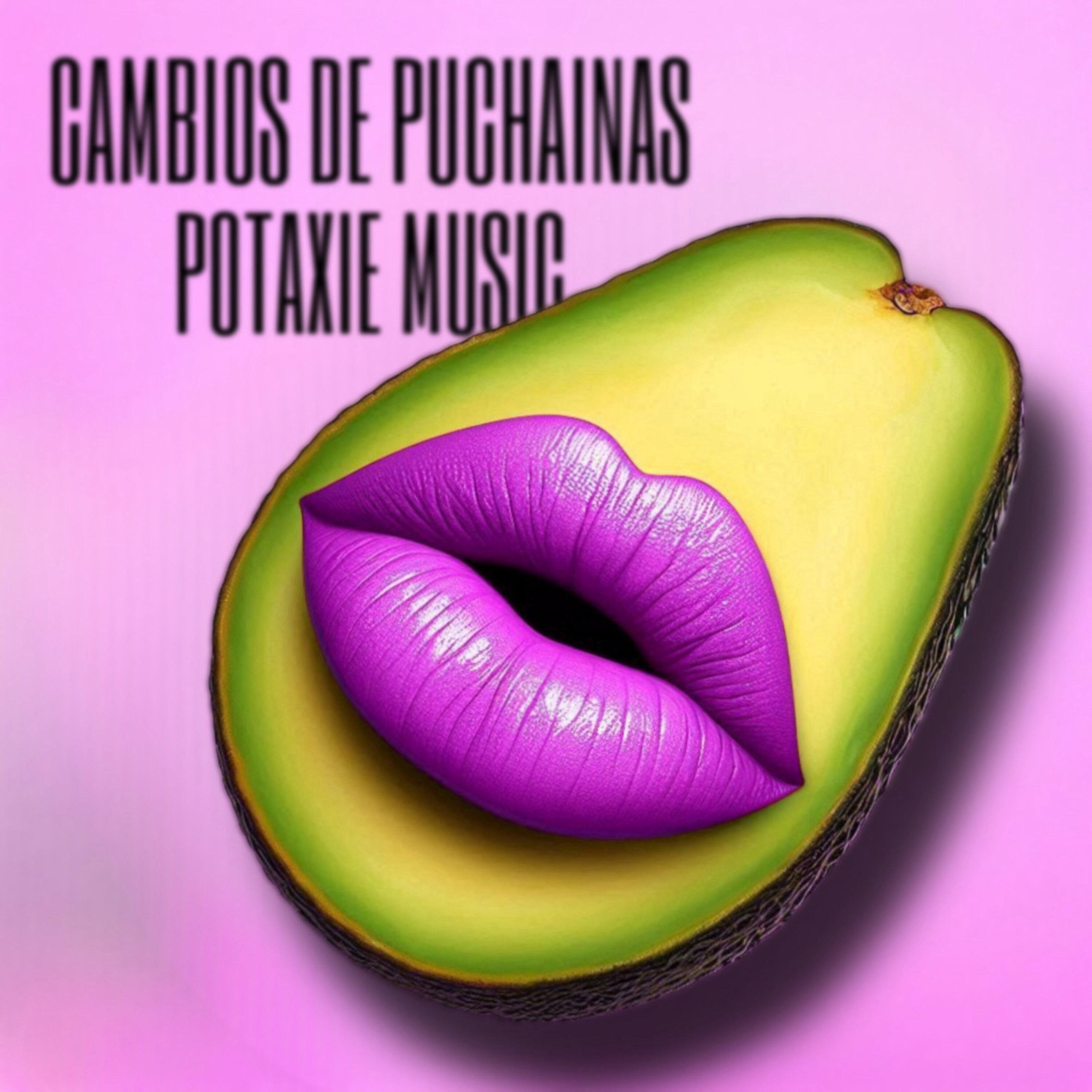 Triple Puchaina - Potaxie Music - 单曲 - 网易云音乐