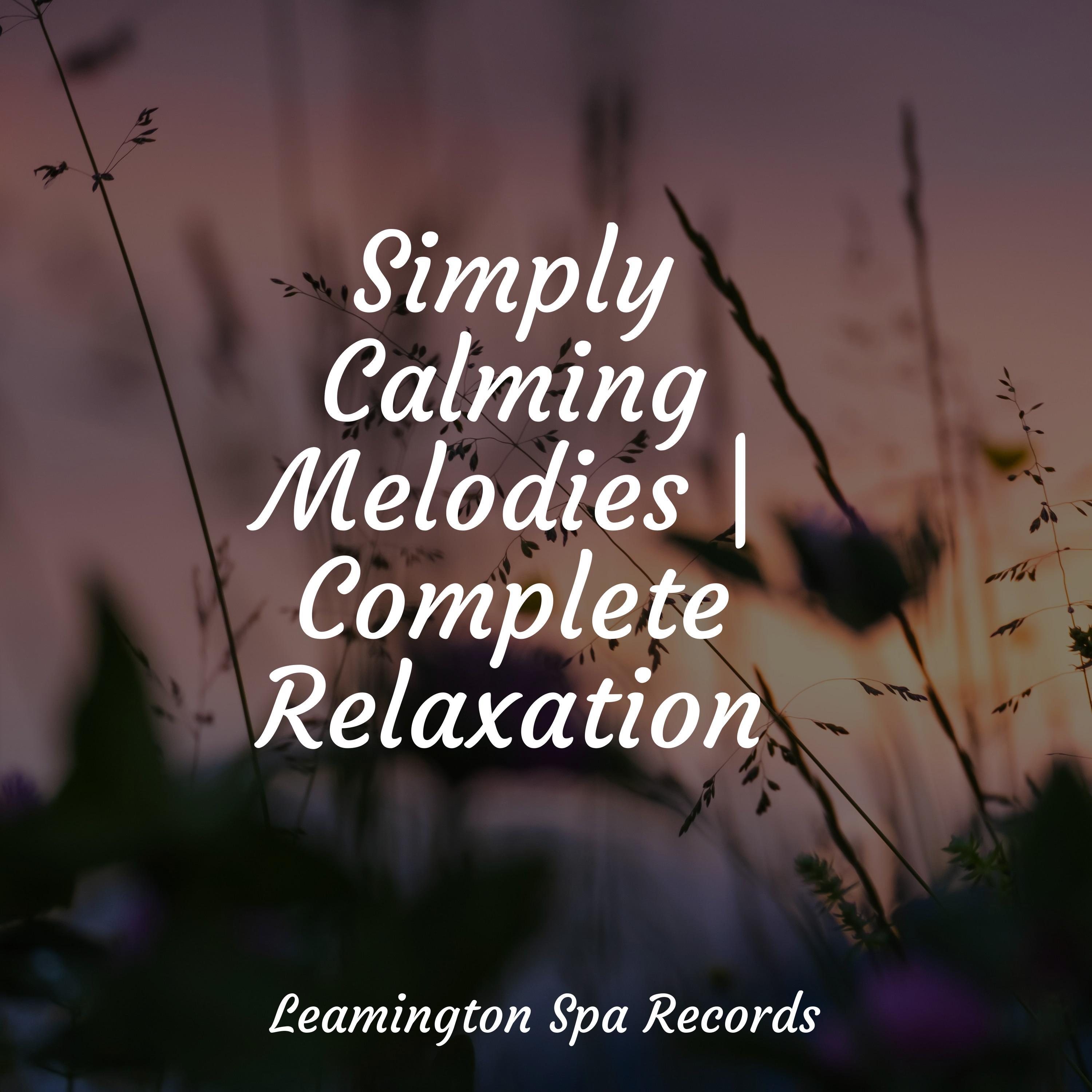 Summer Calm - Lush Rain Creators/Musica Relajante/Rain Makers - 单曲 - 网易云音乐