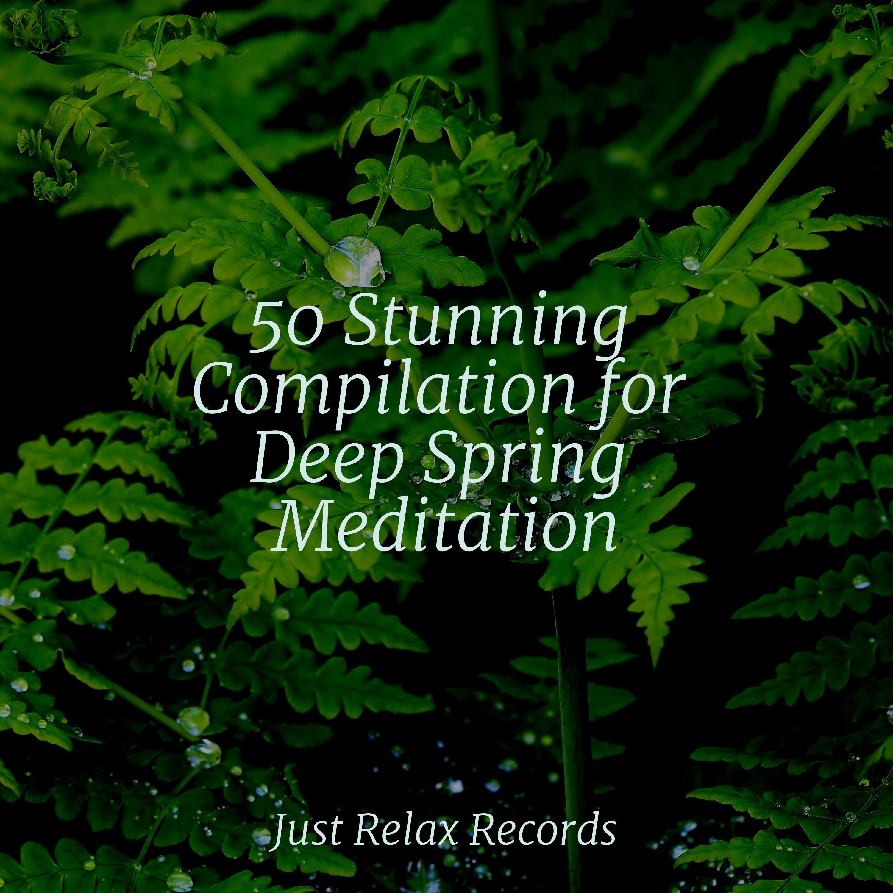 50 Stunning Compilation for Deep Spring Meditation - Música Relajante ...