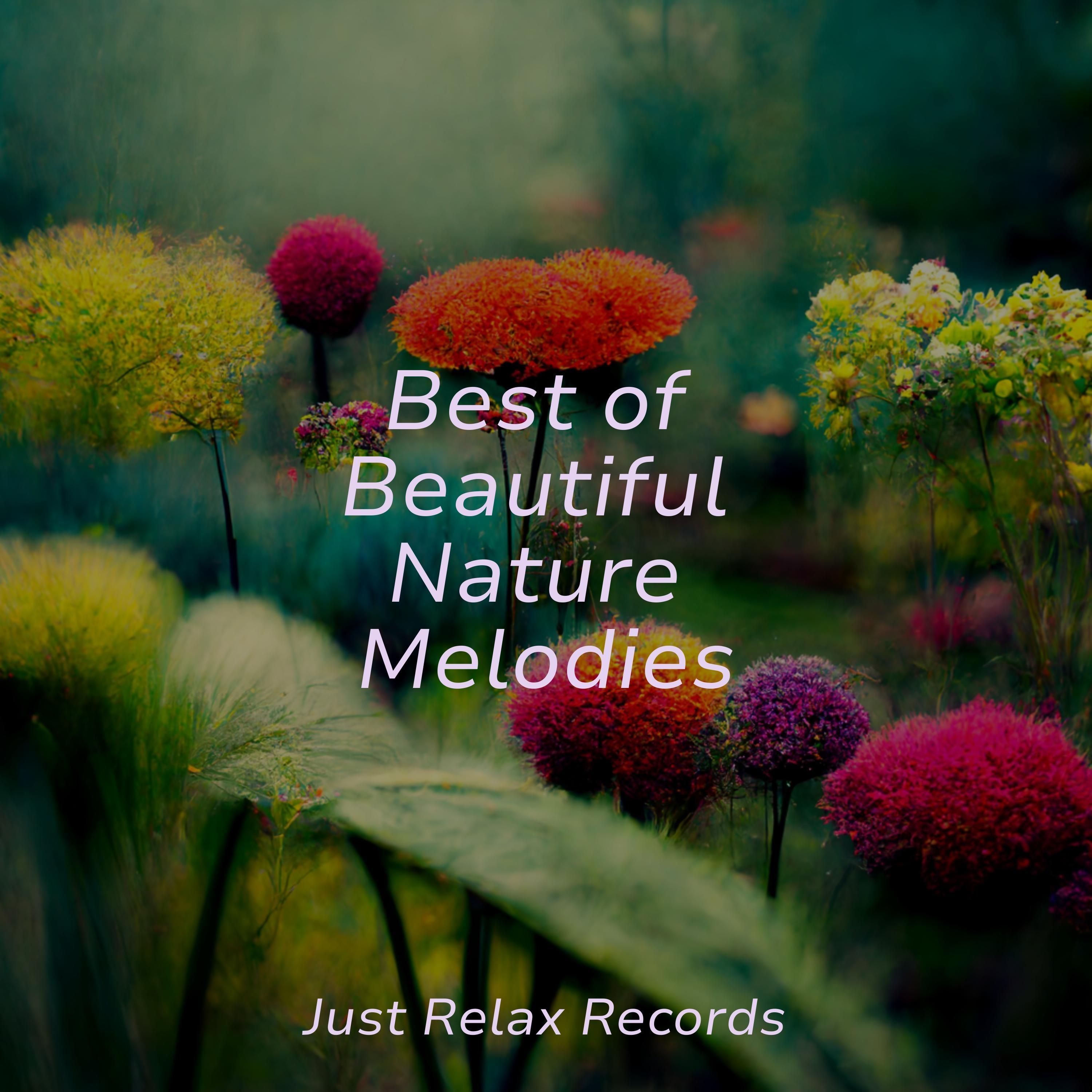 Best of Beautiful Nature Melodies - lounge relax - 专辑 - 网易云音乐