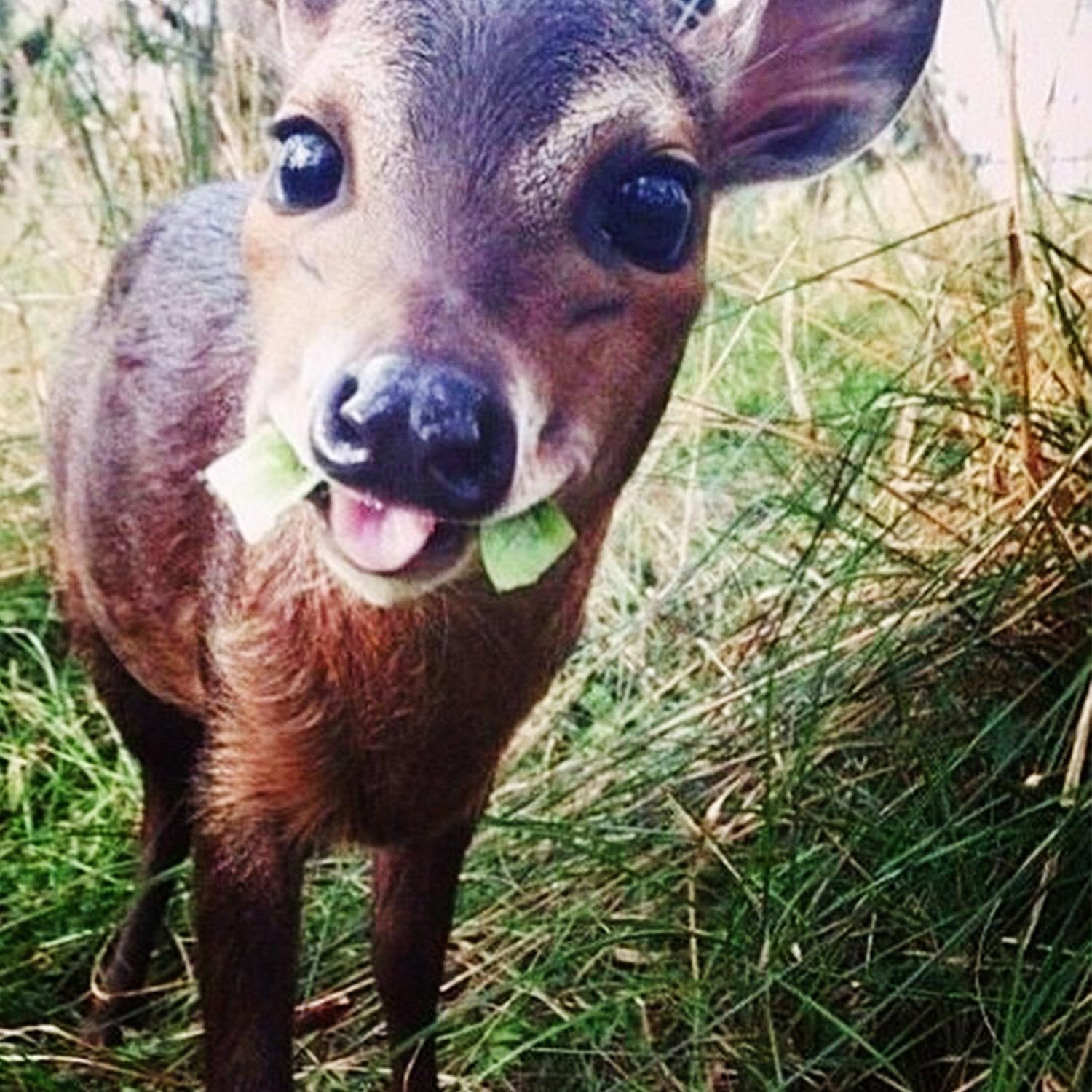 Инст - ca$hmarr archive - 单曲 - 网易云音乐