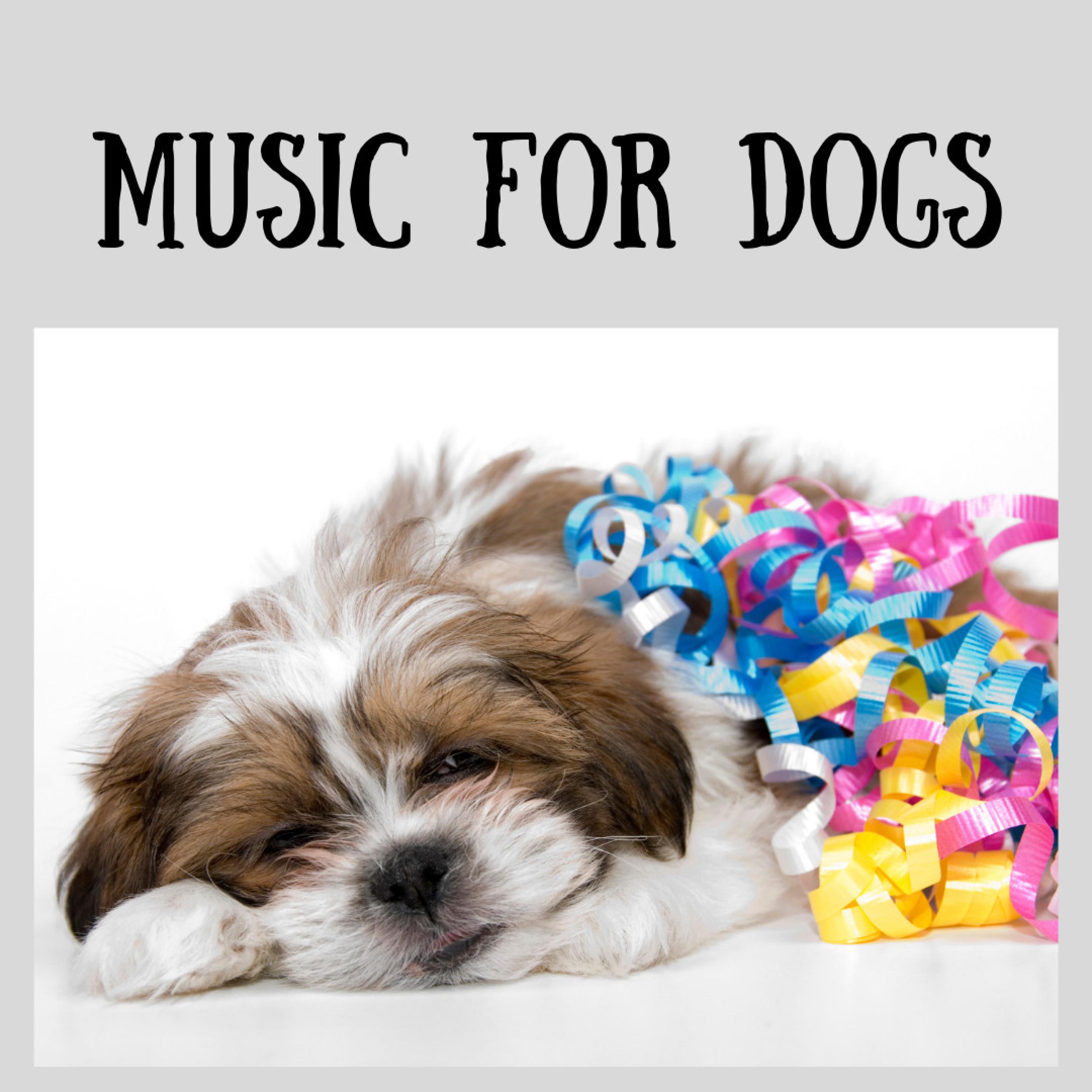 Resting Pup - Music For Dogs/Music For Dogs Peace/Relaxing Puppy Music ...