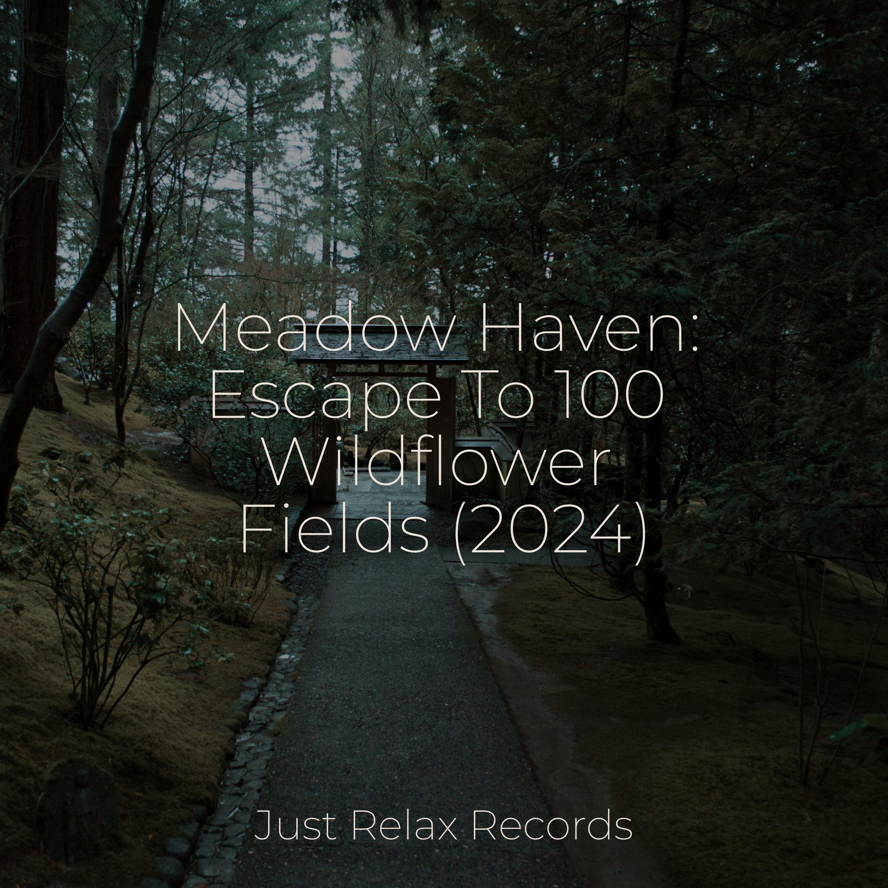 Mystic Tranquility Cascades - Pro Sound Effects Library/Preschool Kids ...