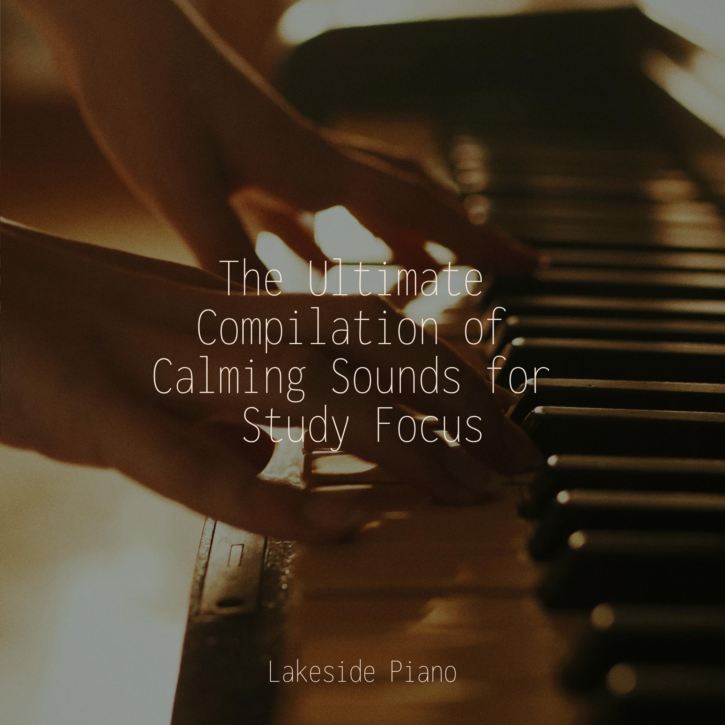 The Ultimate Compilation of Calming Sounds for Study Focus - Reiki ...