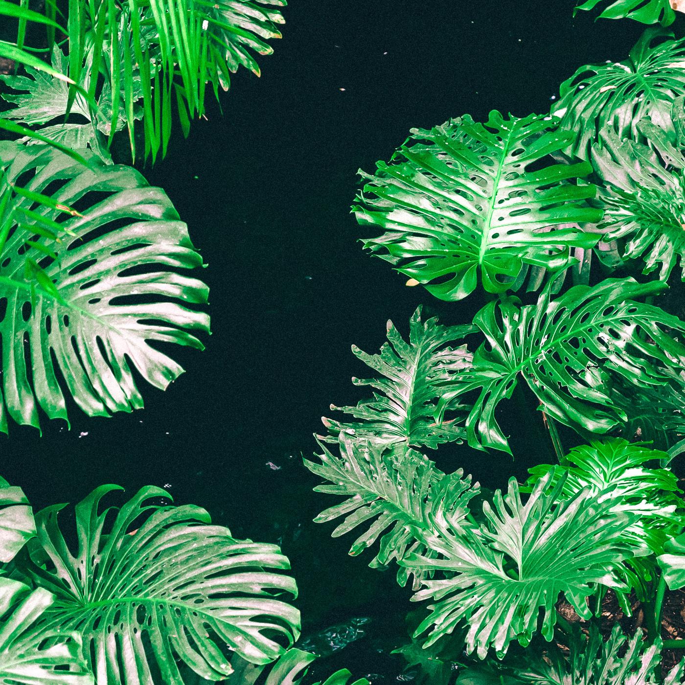 Rain Music For Sleep - 24H Rain Sounds/Rain for Deep Sleep/ohm waves ...