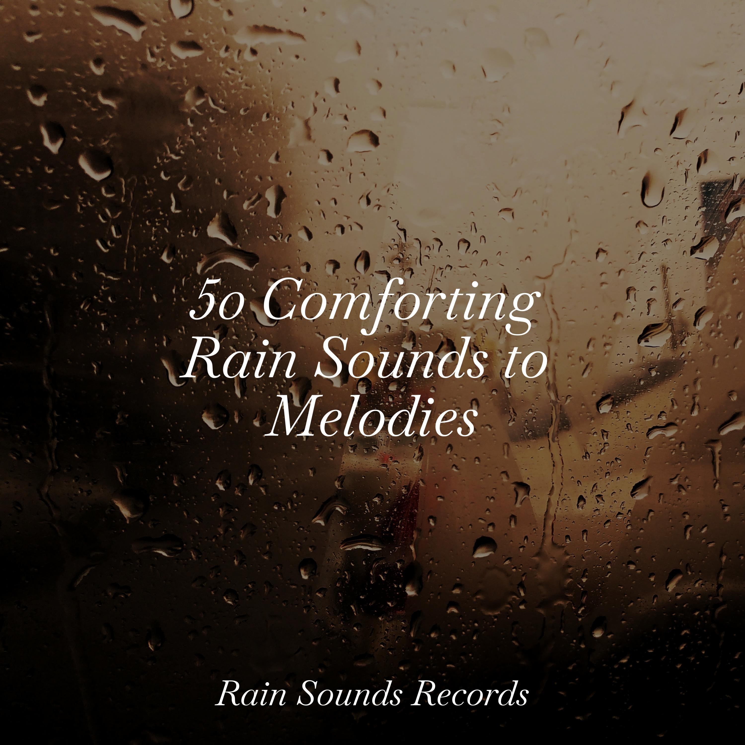 50 Comforting Rain Sounds to Melodies - Meditation Rain Sounds - 专辑 - 网易云音乐