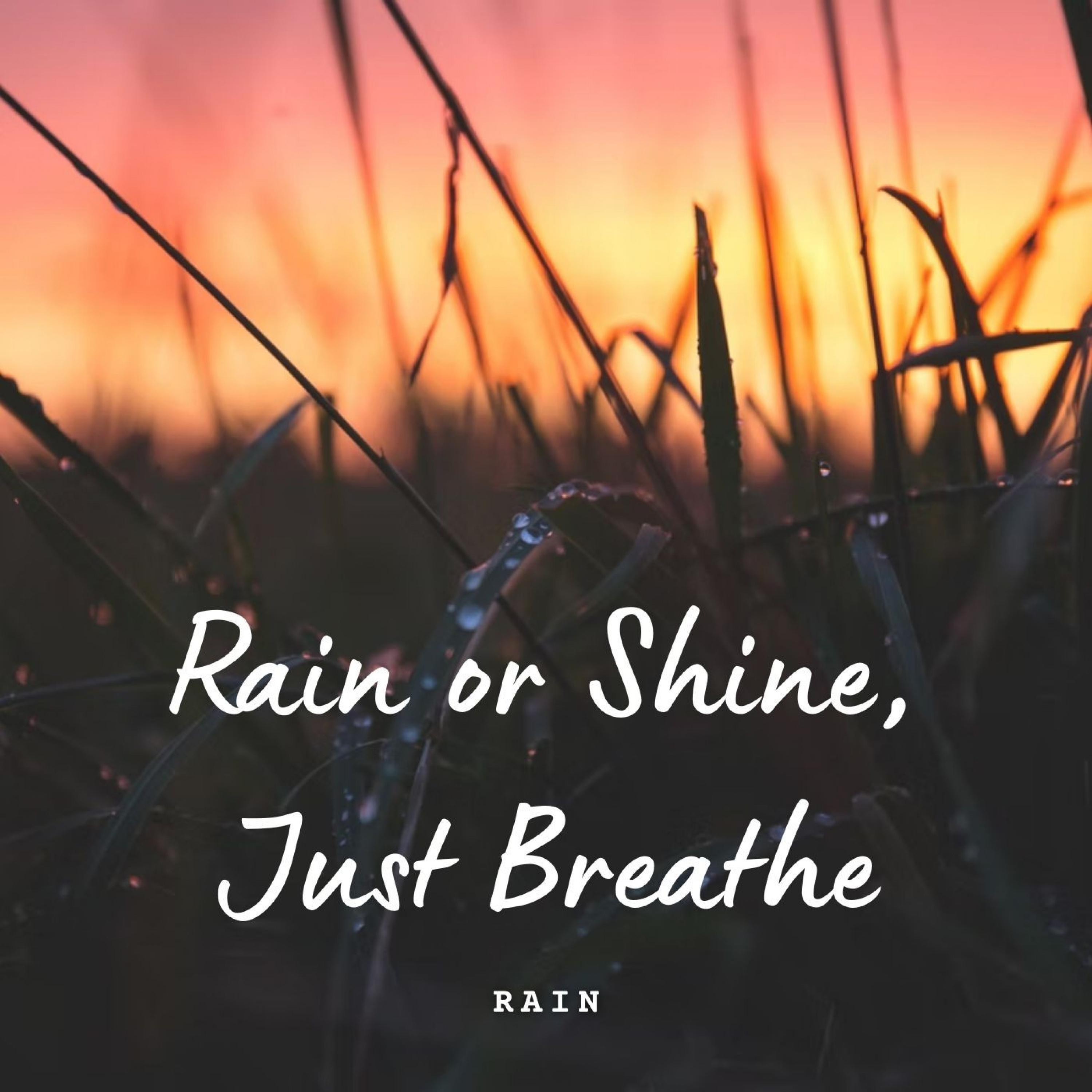 Simple Nap - The Sound of the Rain/Rain Sounds Nature Collection/Rain ...