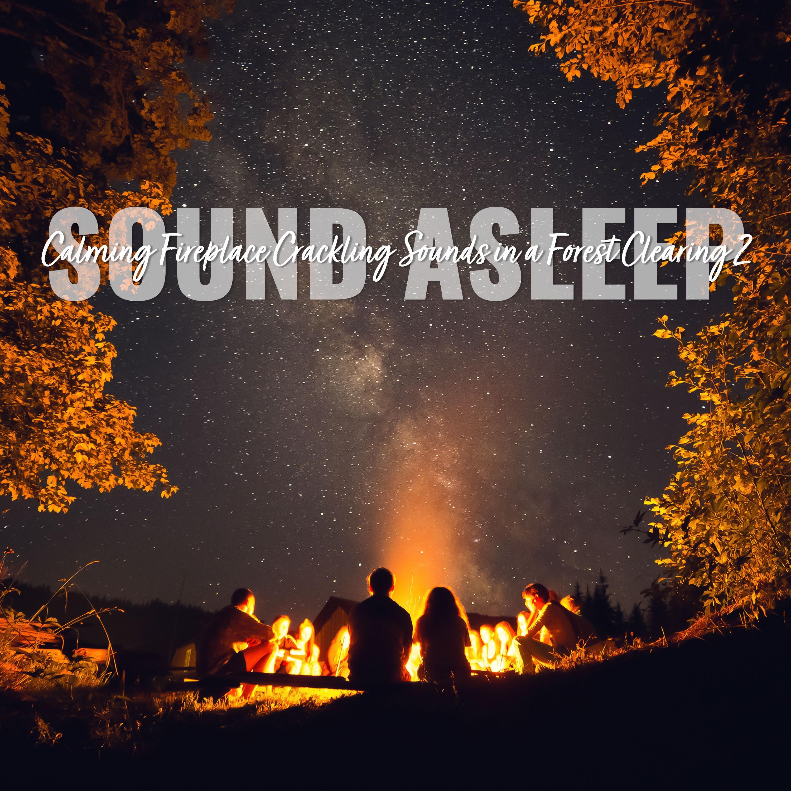 Sound Asleep: Calming Fireplace Crackling Sounds in a Forest Clearing 2 ...