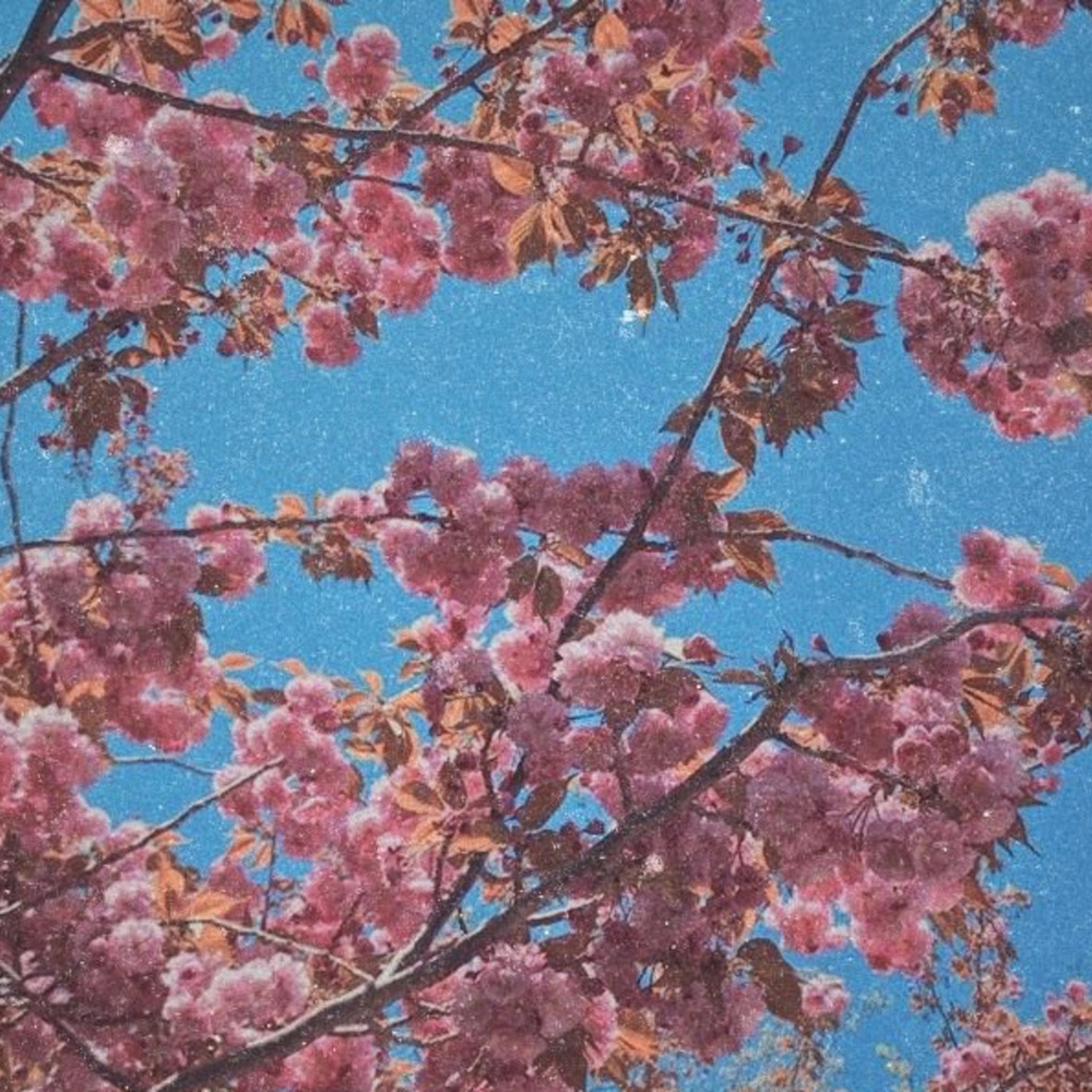 sweetly（甜蜜地） - Lord Kael - 单曲 - 网易云音乐