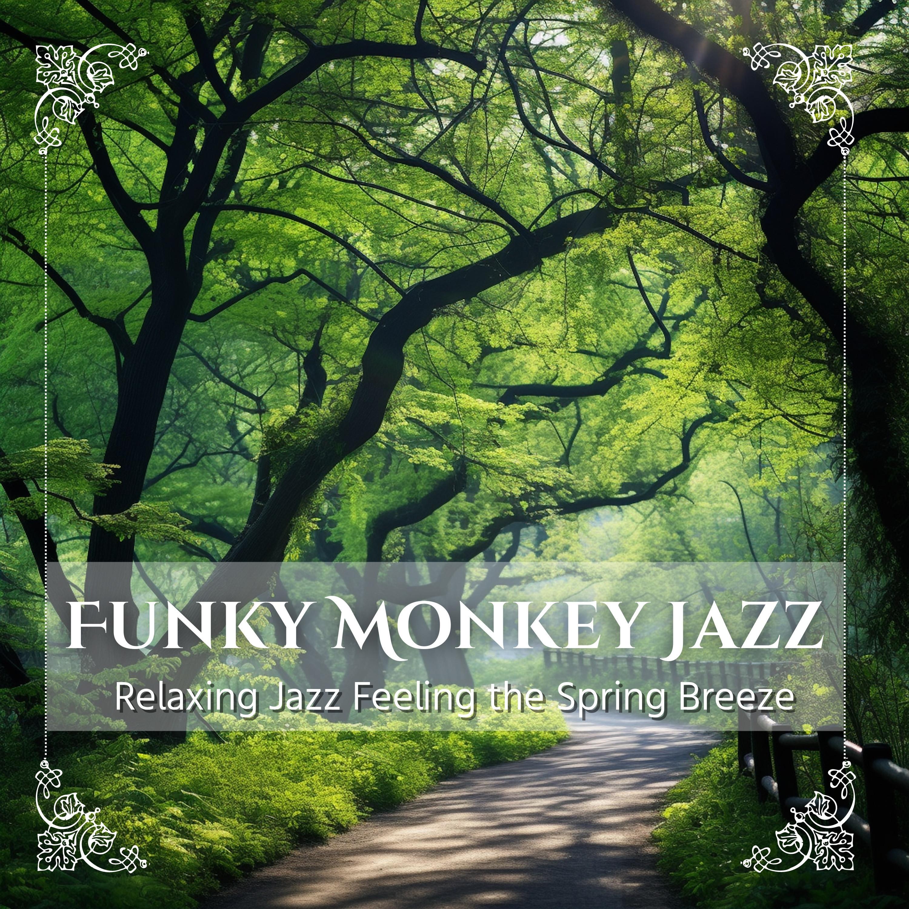 Blossoming Scent of Relaxation - Funky Monkey Jazz - 单曲 - 网易云音乐