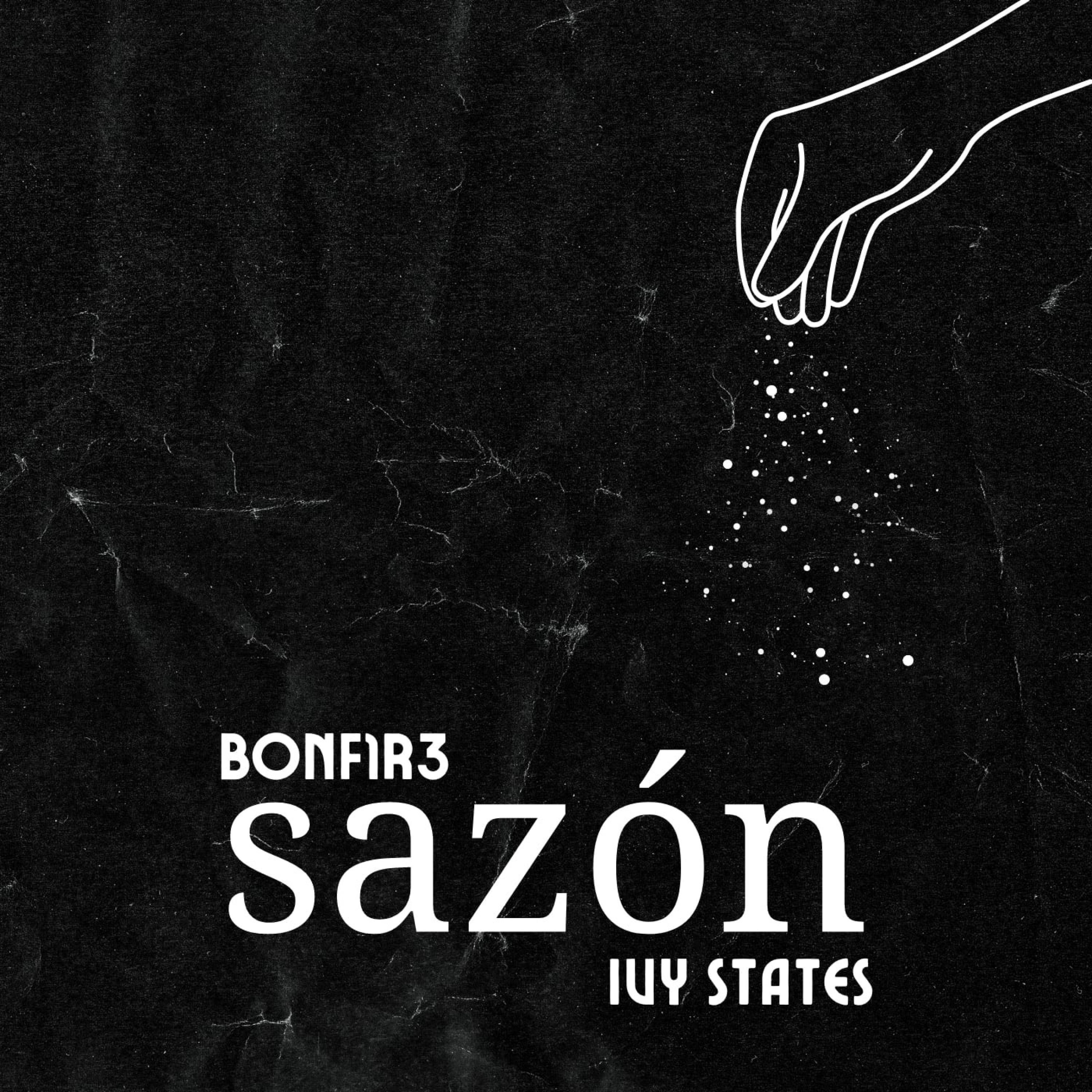Sazón - Ivy States/Bonf1r3 - 单曲 - 网易云音乐