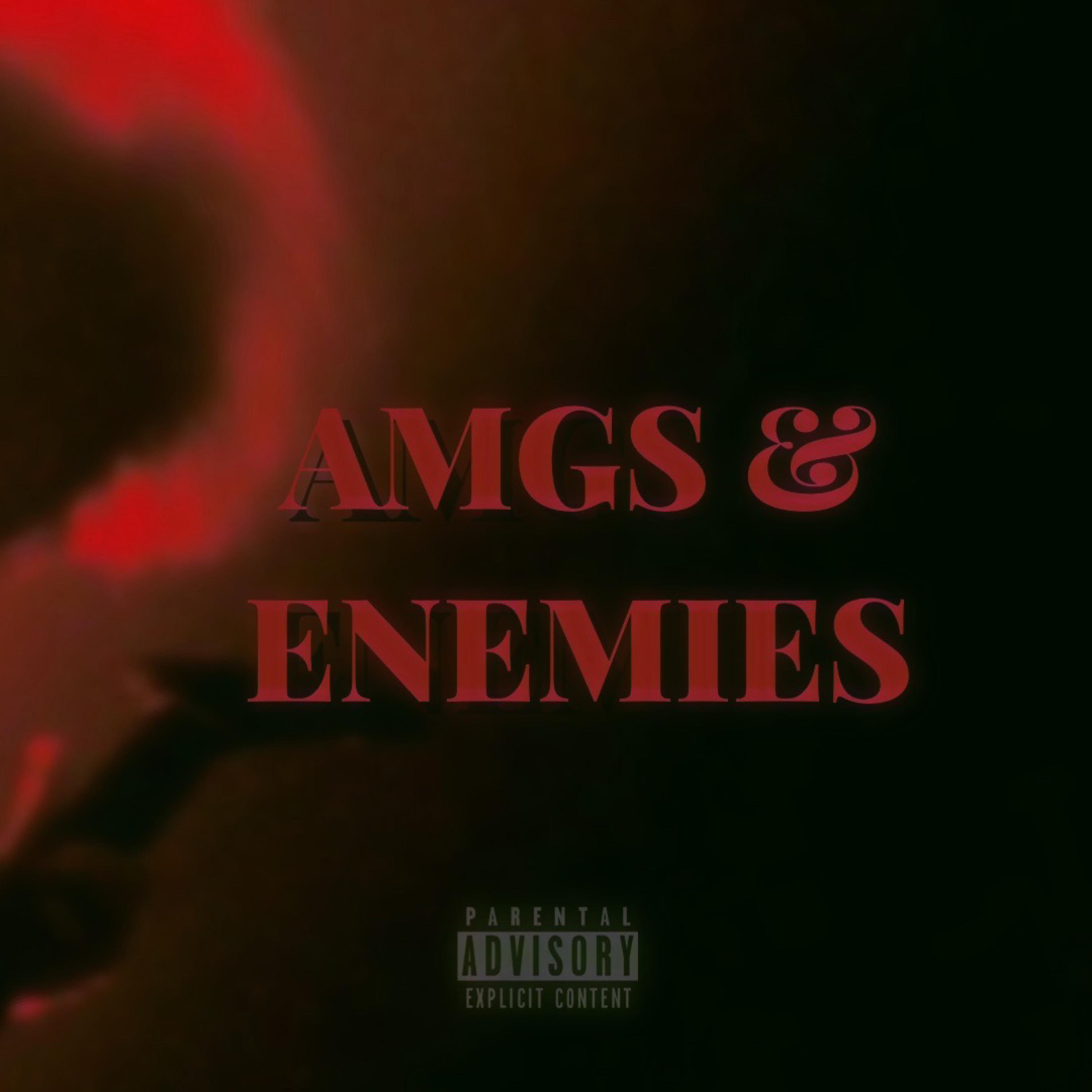 AMG's & Enemies - Palase - 专辑 - 网易云音乐